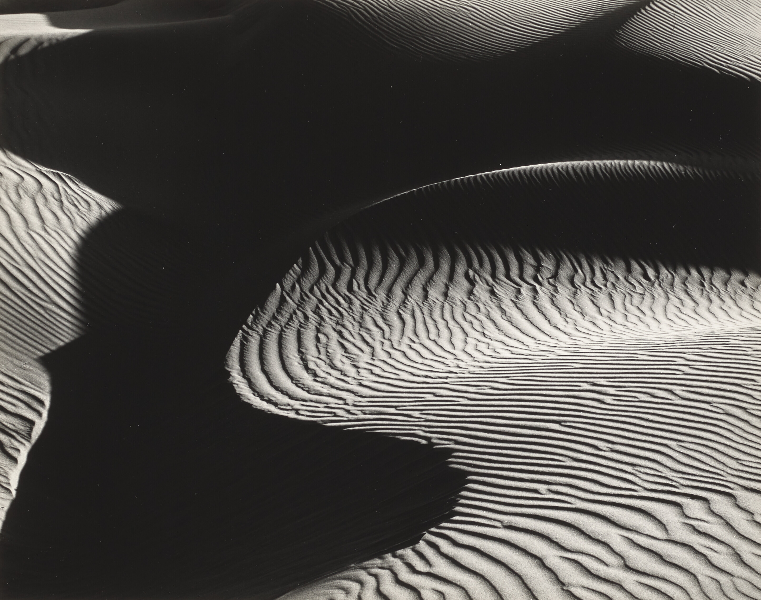 EDWARD WESTON (1886–1958), Dunes, Oceano, 1936 | Christie’s