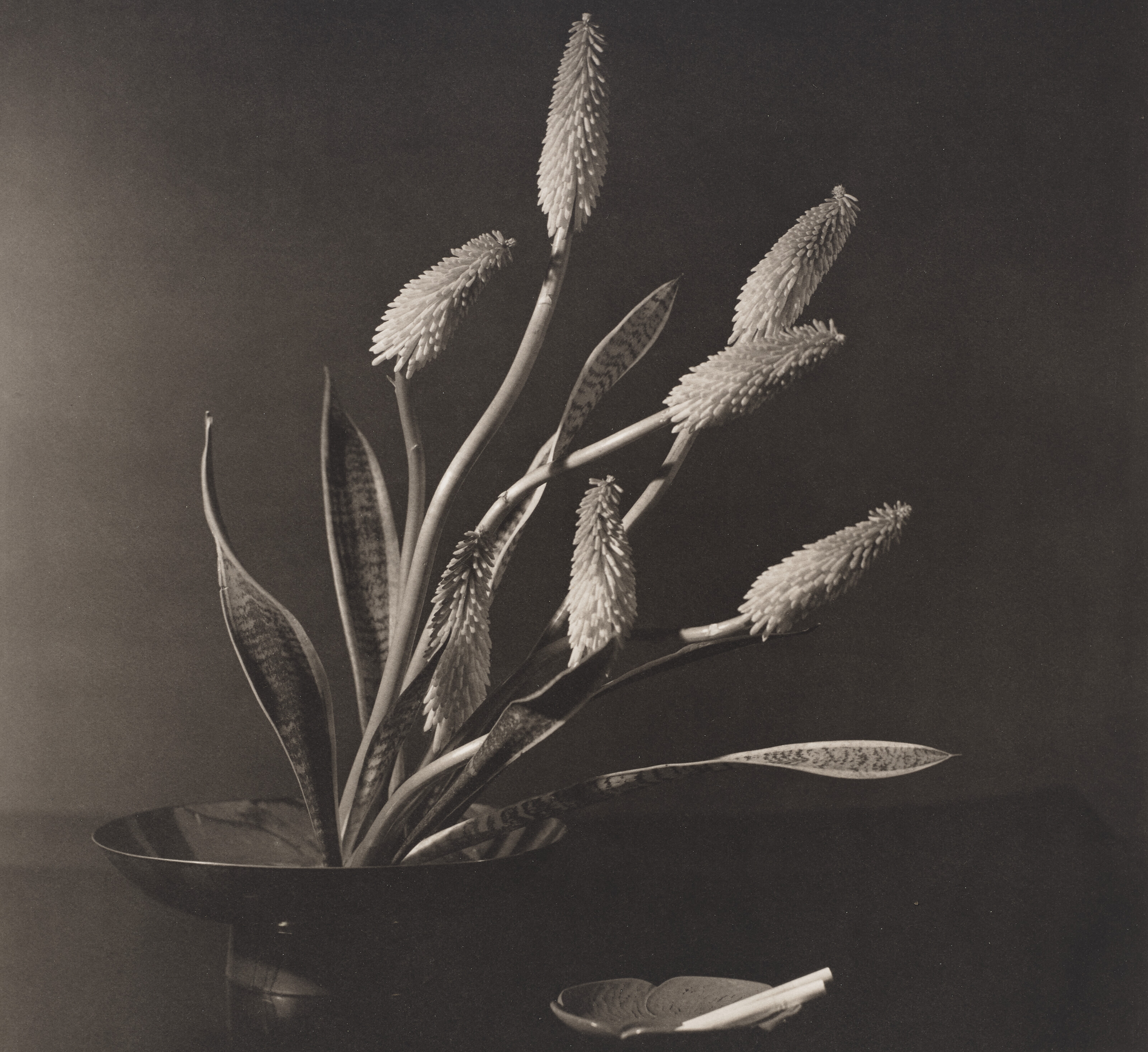HORST P. HORST (1906–1999), Flowers with Ashtray, 1962 | Christie’s