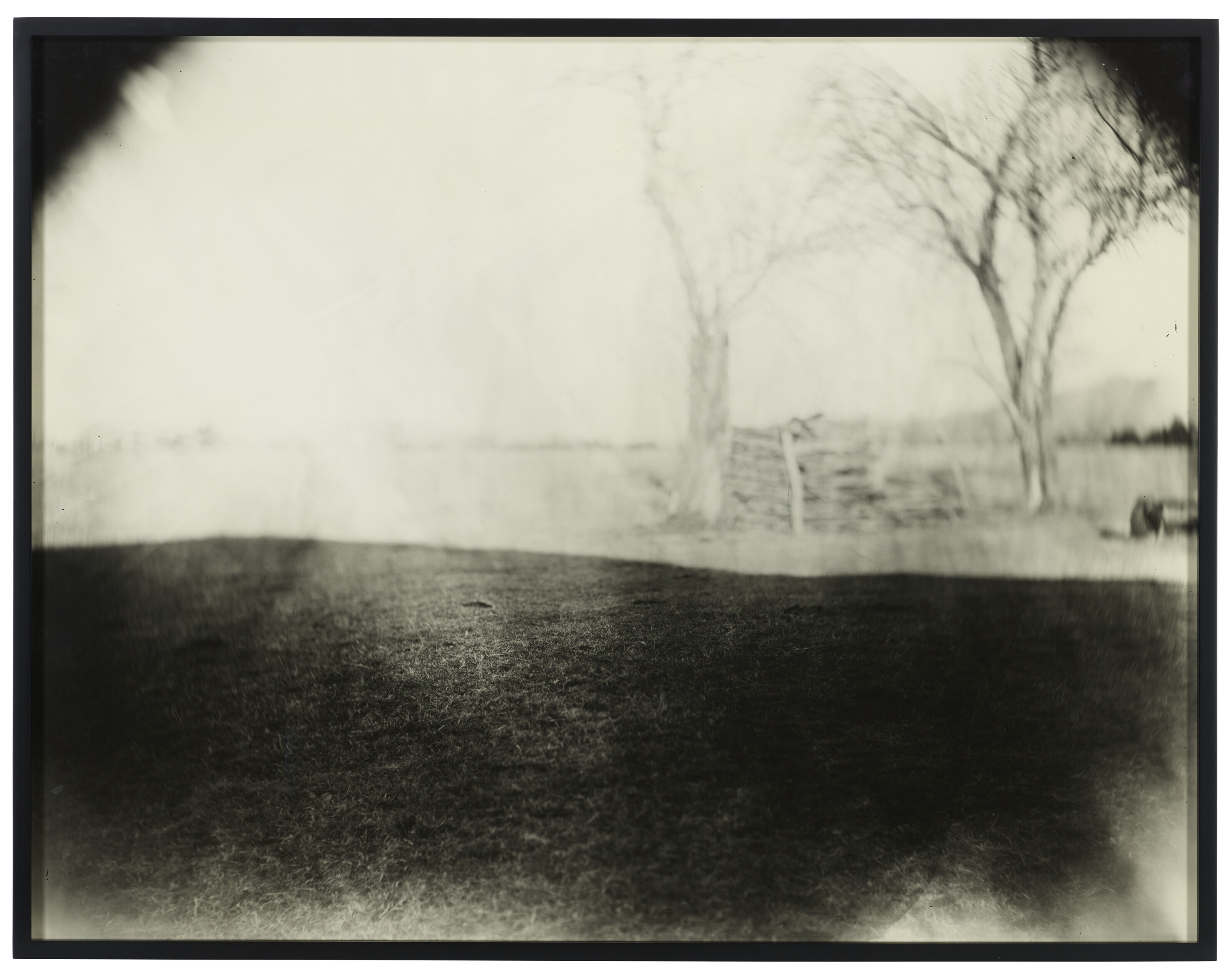 SALLY MANN (B. 1951), Untitled (Dodd’s Farm), from the series Georgia ...