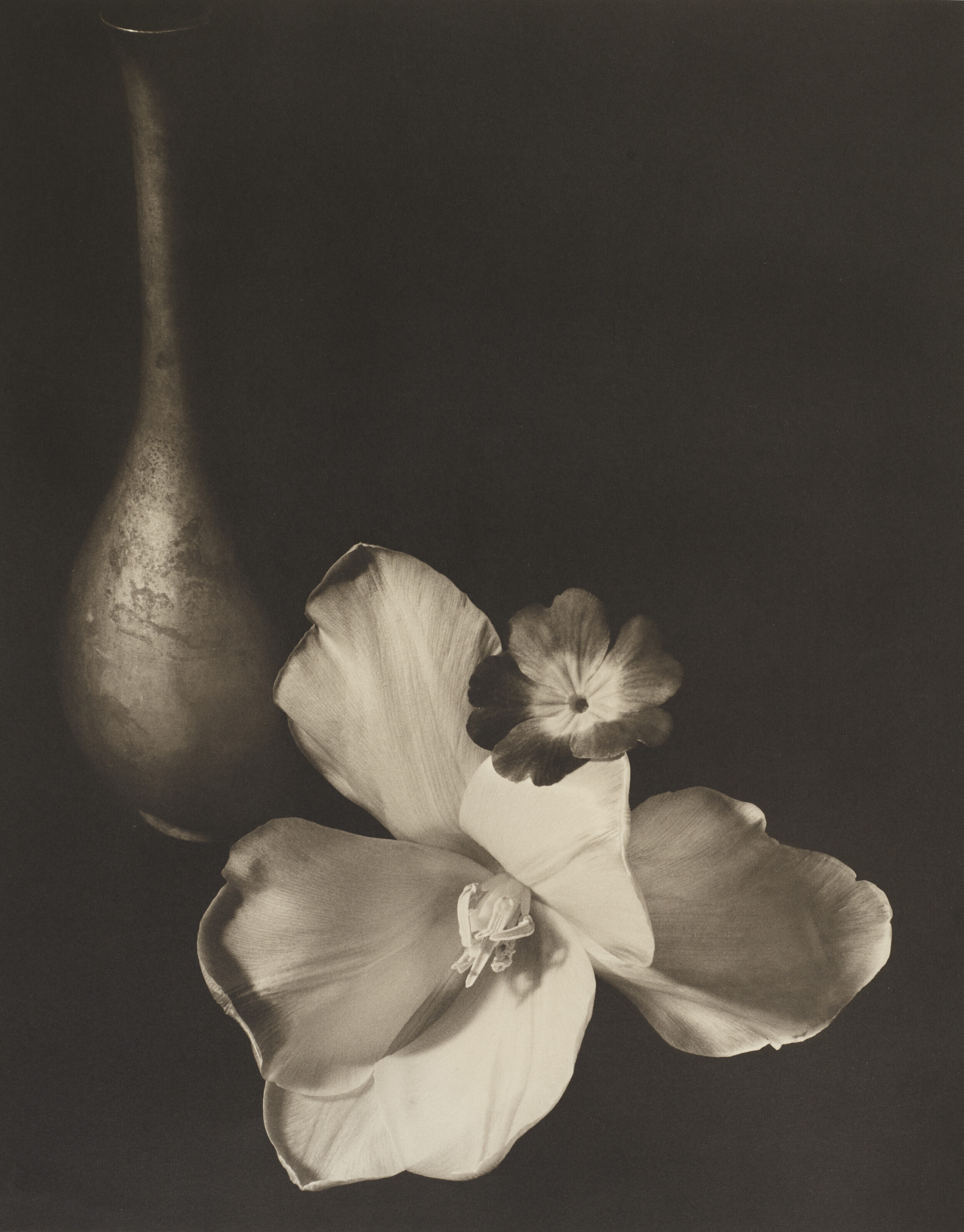 HORST P. HORST (1906–1999), Vase Still Life, 1987 | Christie’s