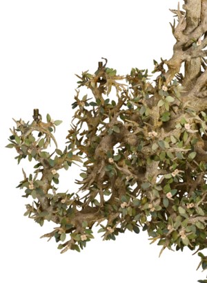 A POLYCHROME-DECORATED CARTON-PIERRE SIX-LIGHT CHANDELIER, ATTRIBUTED ...