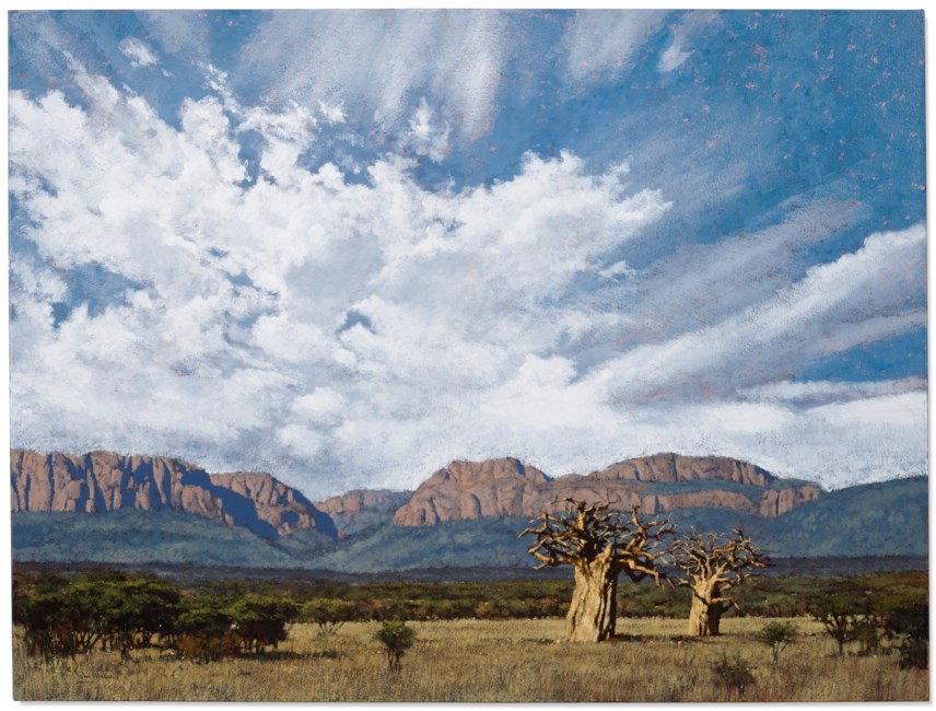 JOHN MEYER (B. 1942), Waterberg Wanderings | Christie's