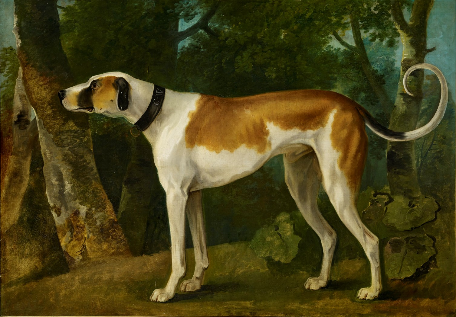ATTRIBUÉ À JOHN BOULTBEE (1753-1812), Le chien de Charles Wyndham (1731 ...