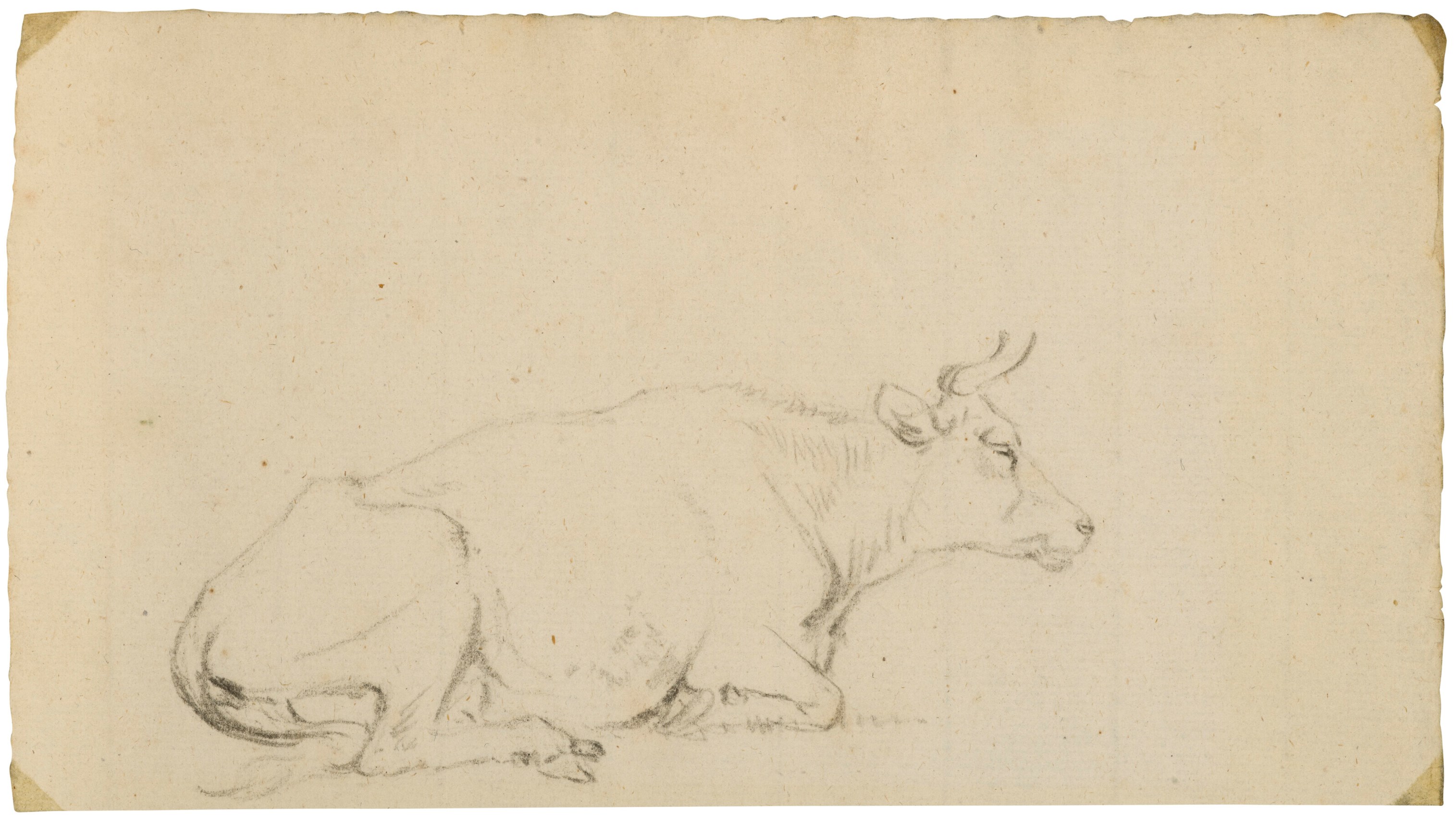 PAULUS POTTER (ENKHUIZEN 1625-1654 AMSTERDAM), Vache au repos | Christie's