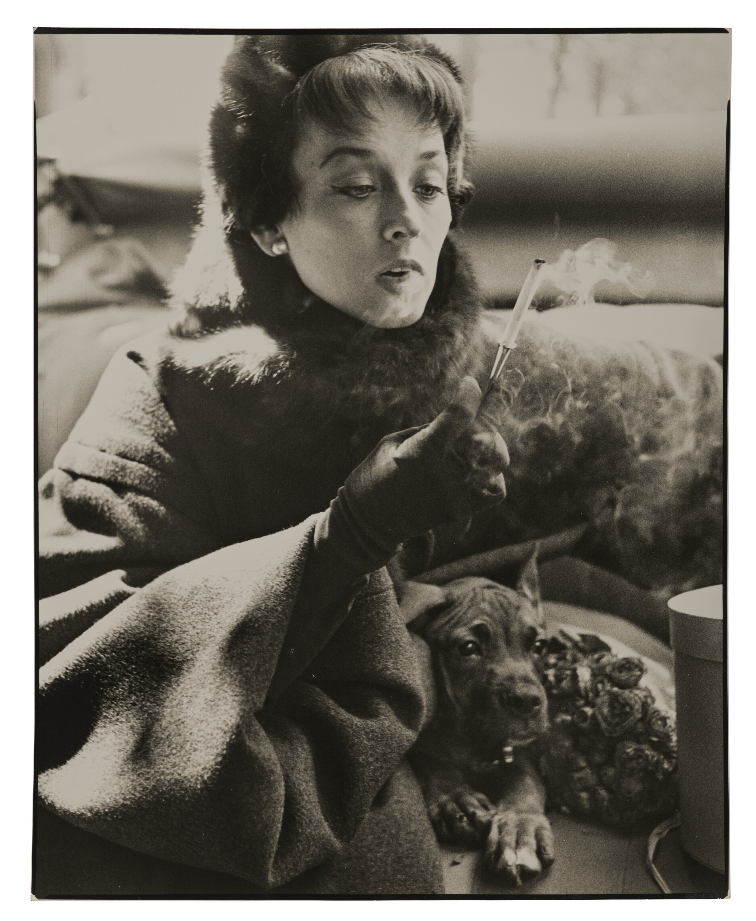 dorian leigh profession