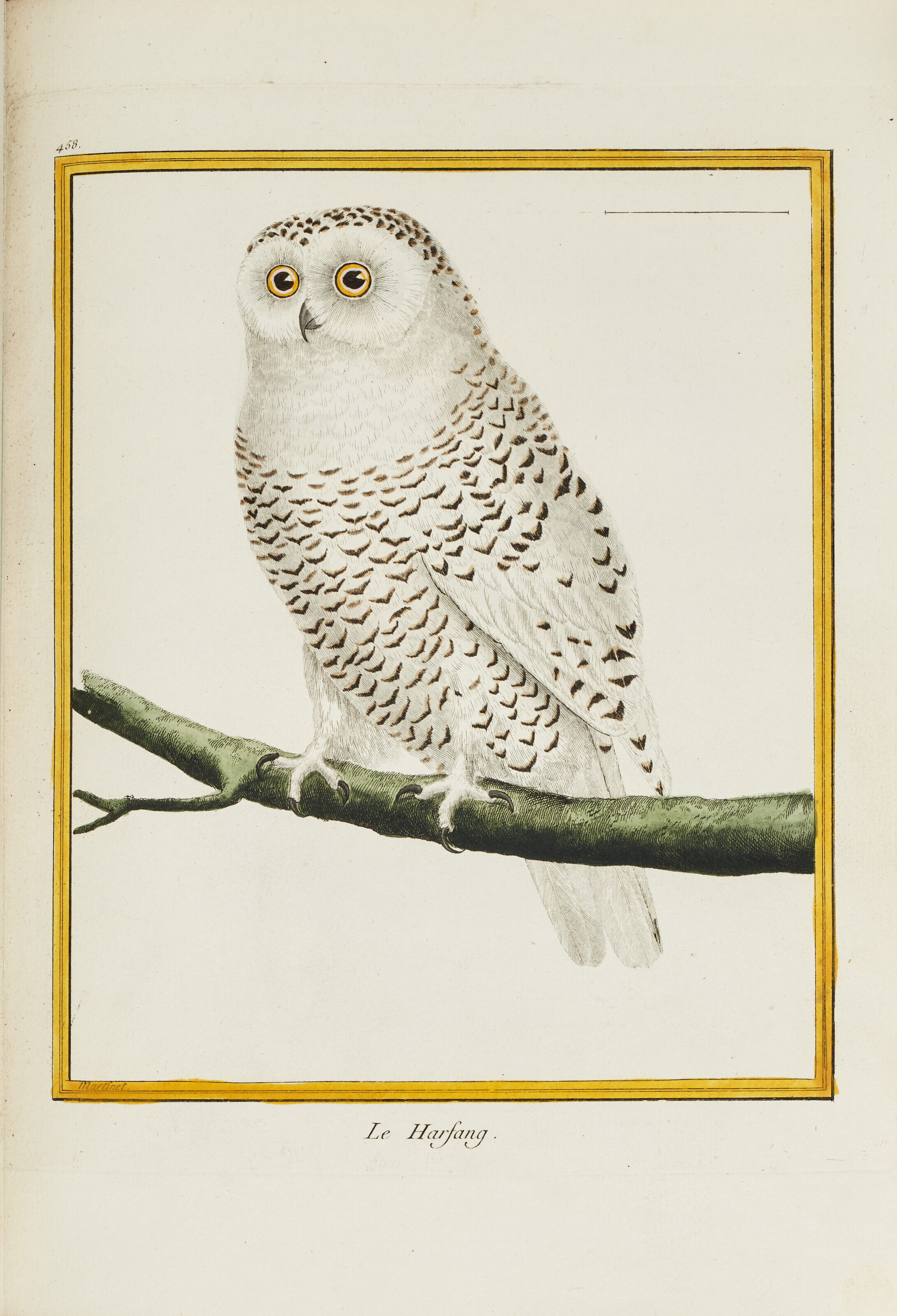 BUFFON, Georges-Louis Leclerc, Comte de (1707-1788), Planches ...