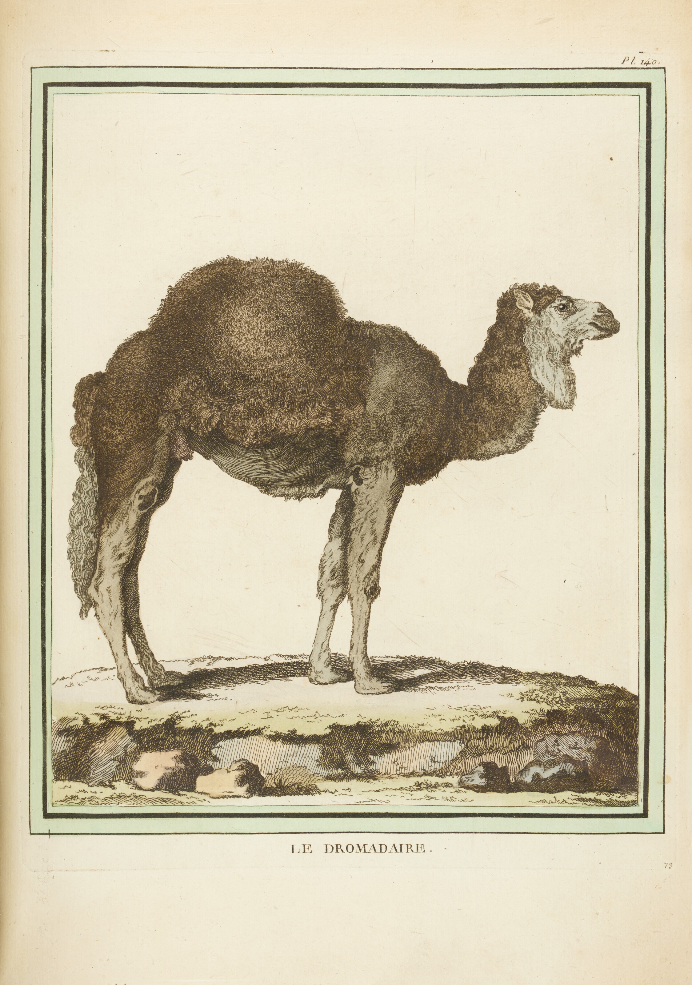 BUFFON, Georges-Louis Leclerc, comte de (1707-1788), Histoire des ...