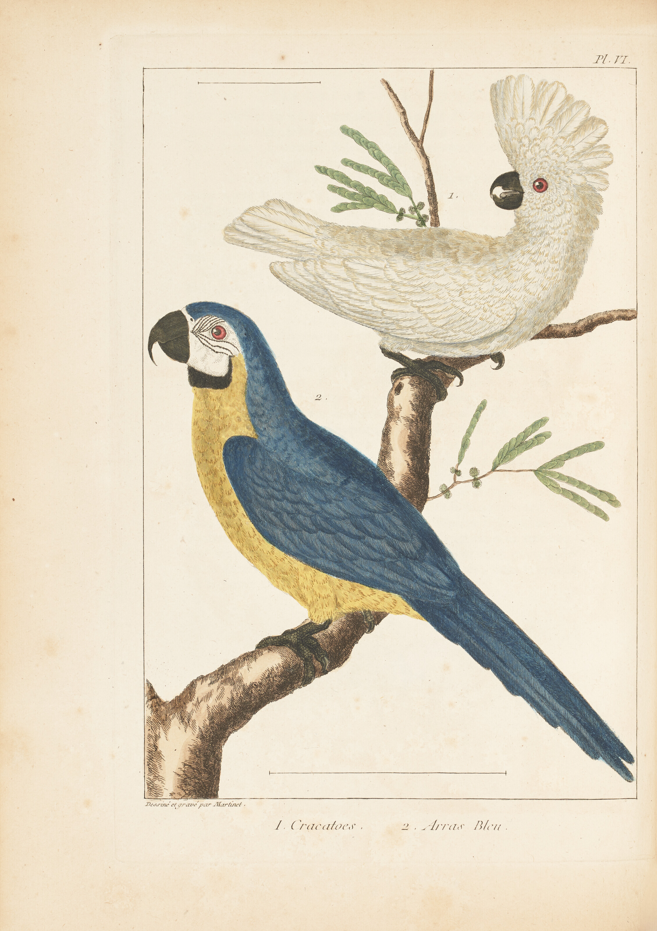 RAY, John (1627-1705) traduit par François SALERNE (1706-1760), L ...