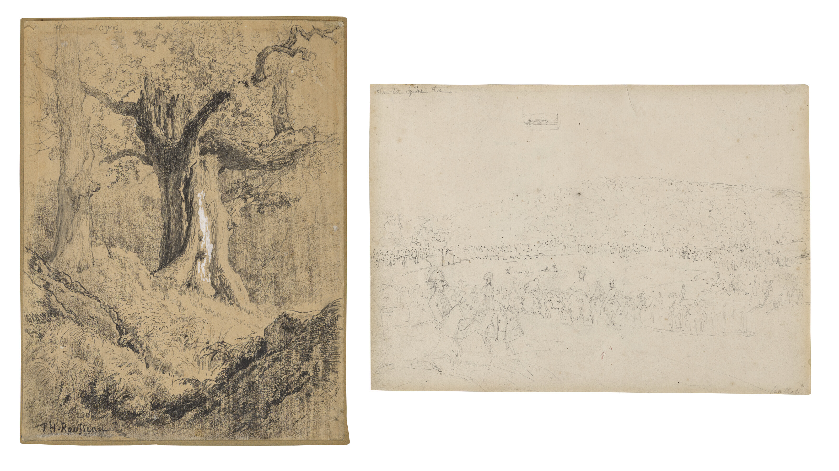 THÉODORE ROUSSEAU (1812-1867), Étude d'un tronc d'arbre en forêt ...