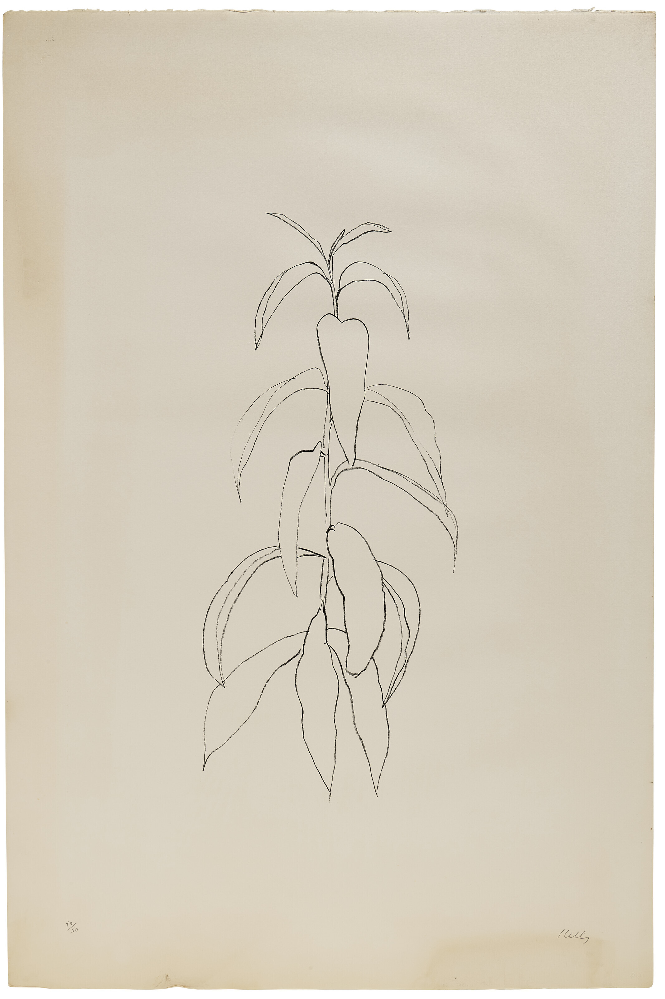 Ellsworth Kelly (1923-2015), Peach Branch, da: Leaves | Christie’s