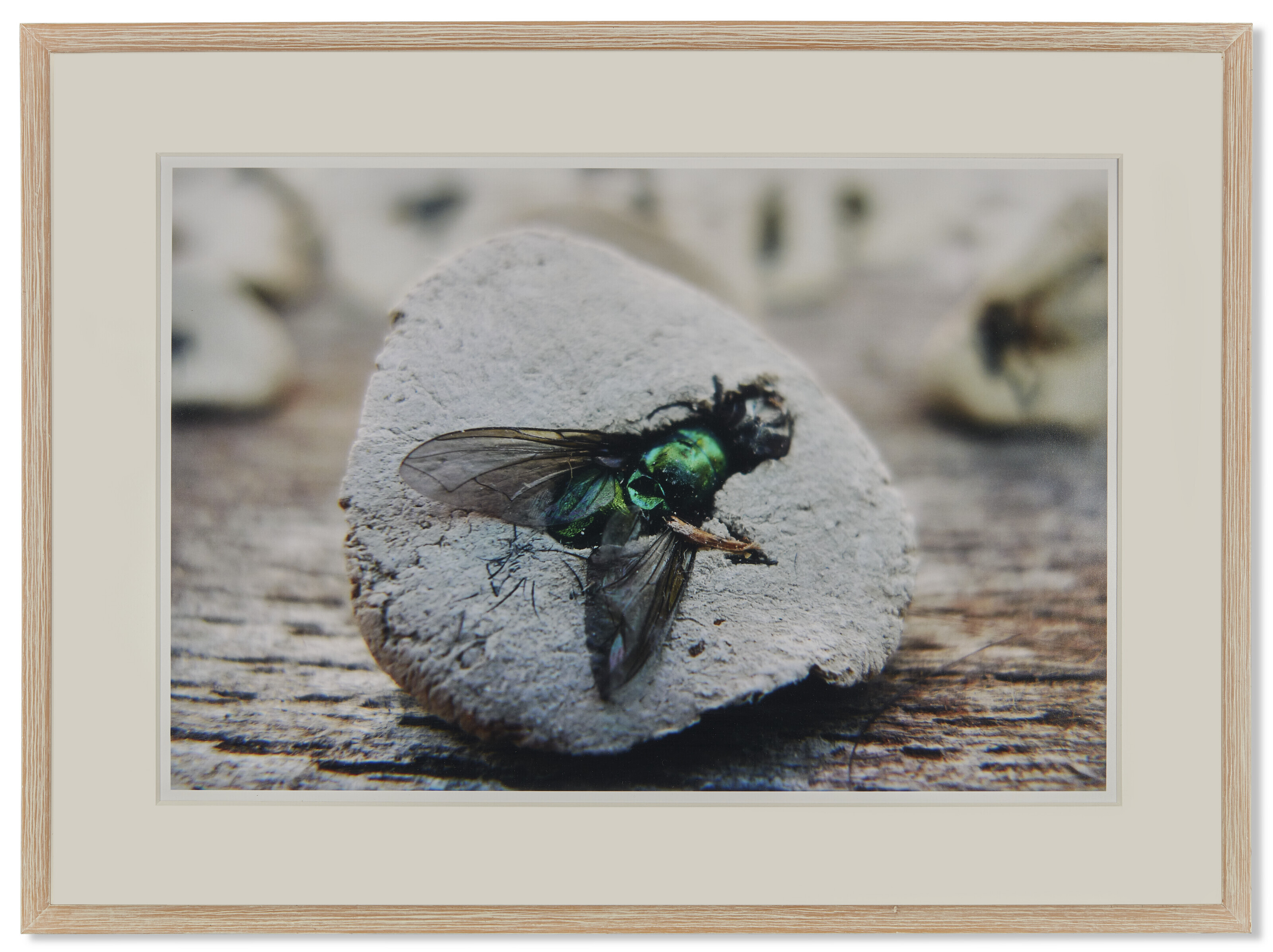 Gabriel Orozco (né en 1962), Fly Stamp, 2010 | Christie’s