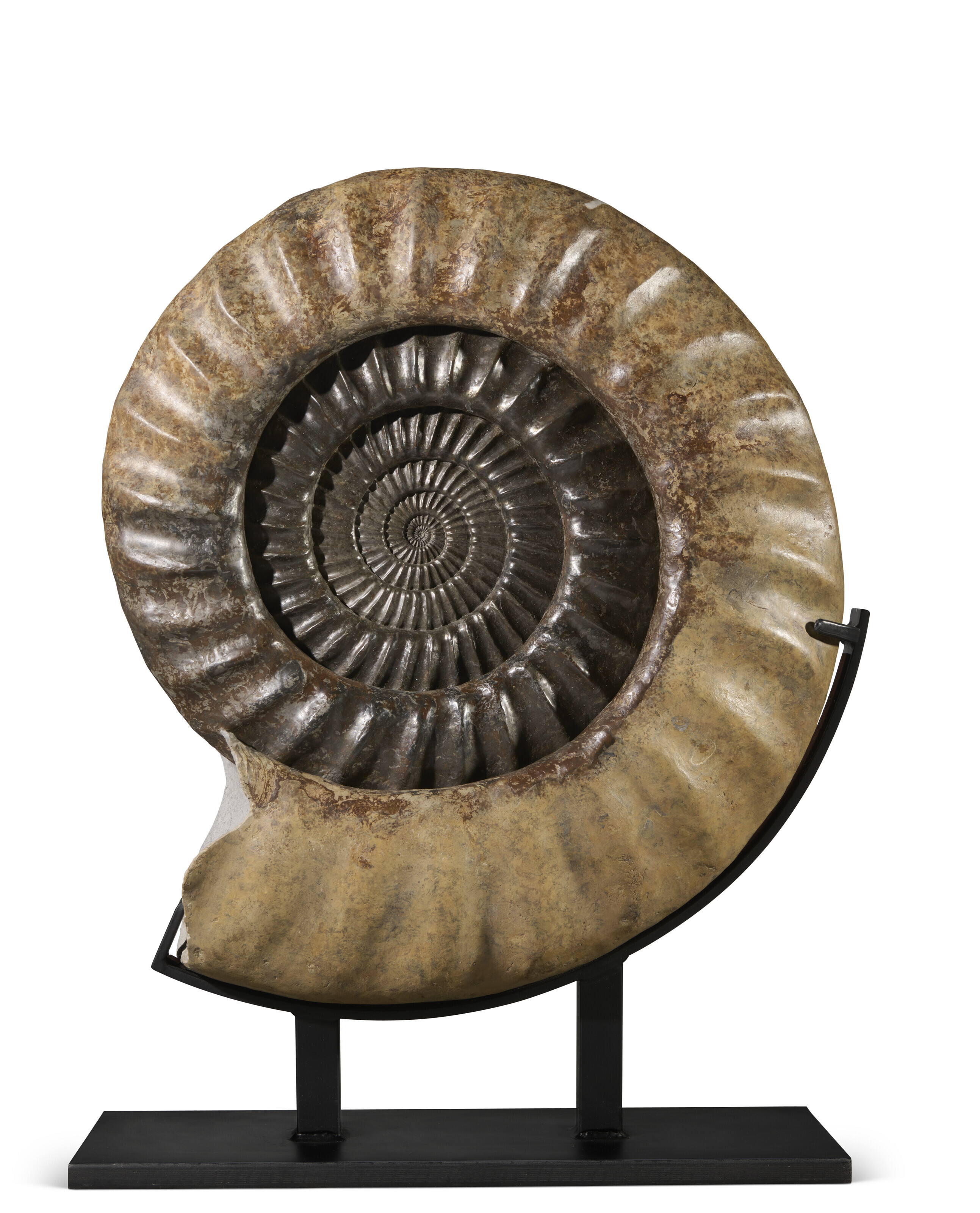 A LARGE AMMONITE, Dijon, France | Christie’s