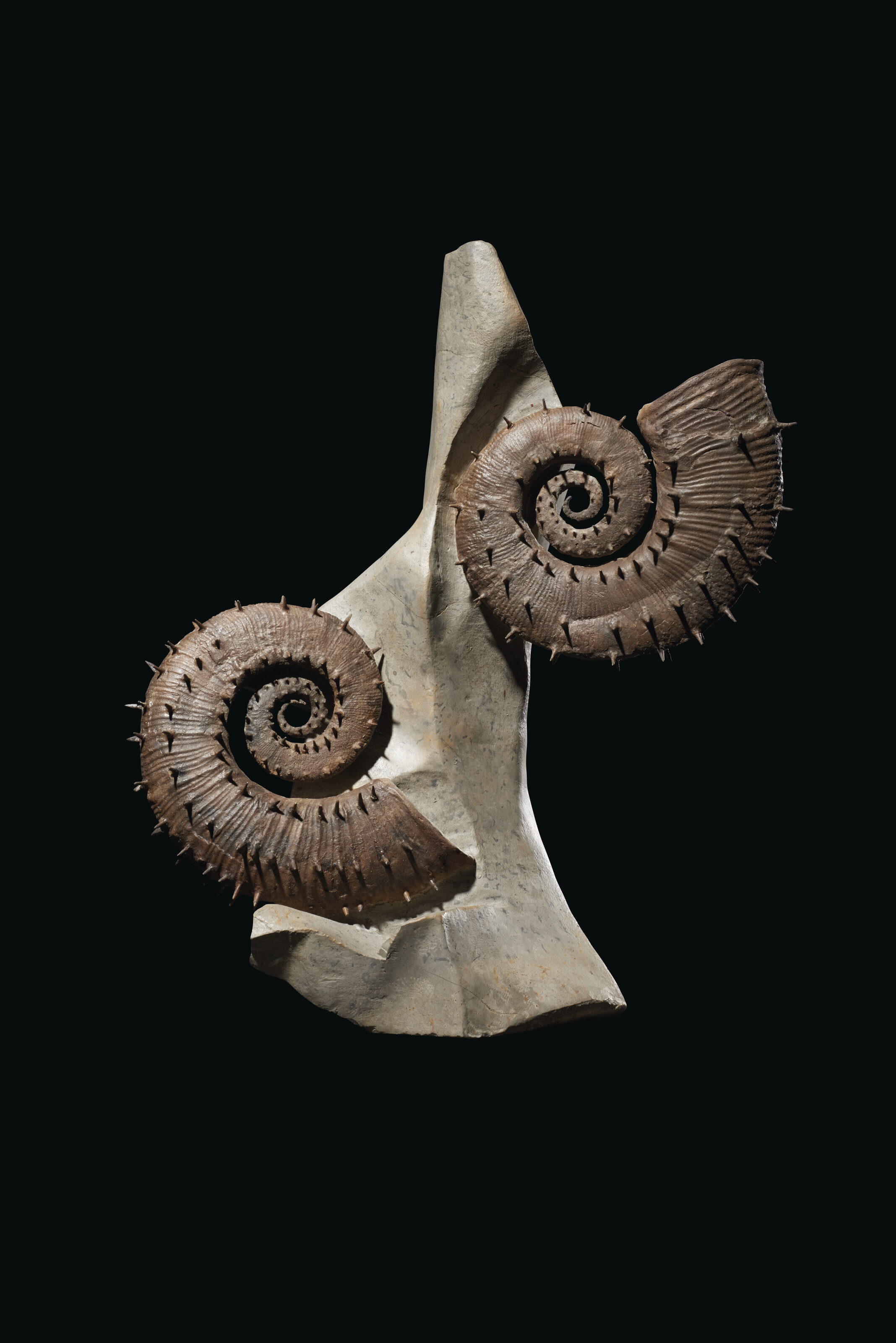 TWO UNCOILED SPINY AMMONITES, France | Christie’s