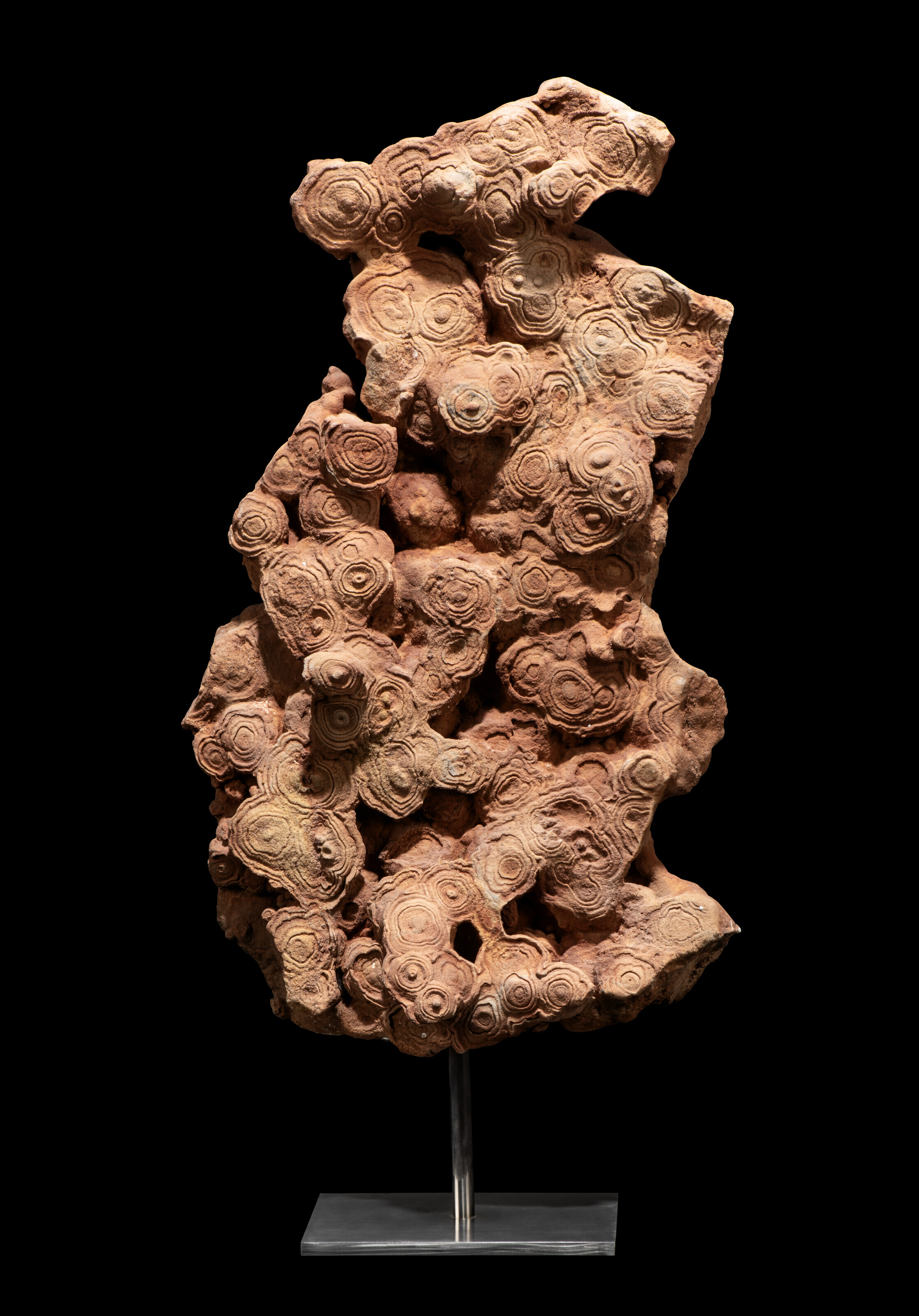 A DESERT CONCRETION, Morocco | Christie’s