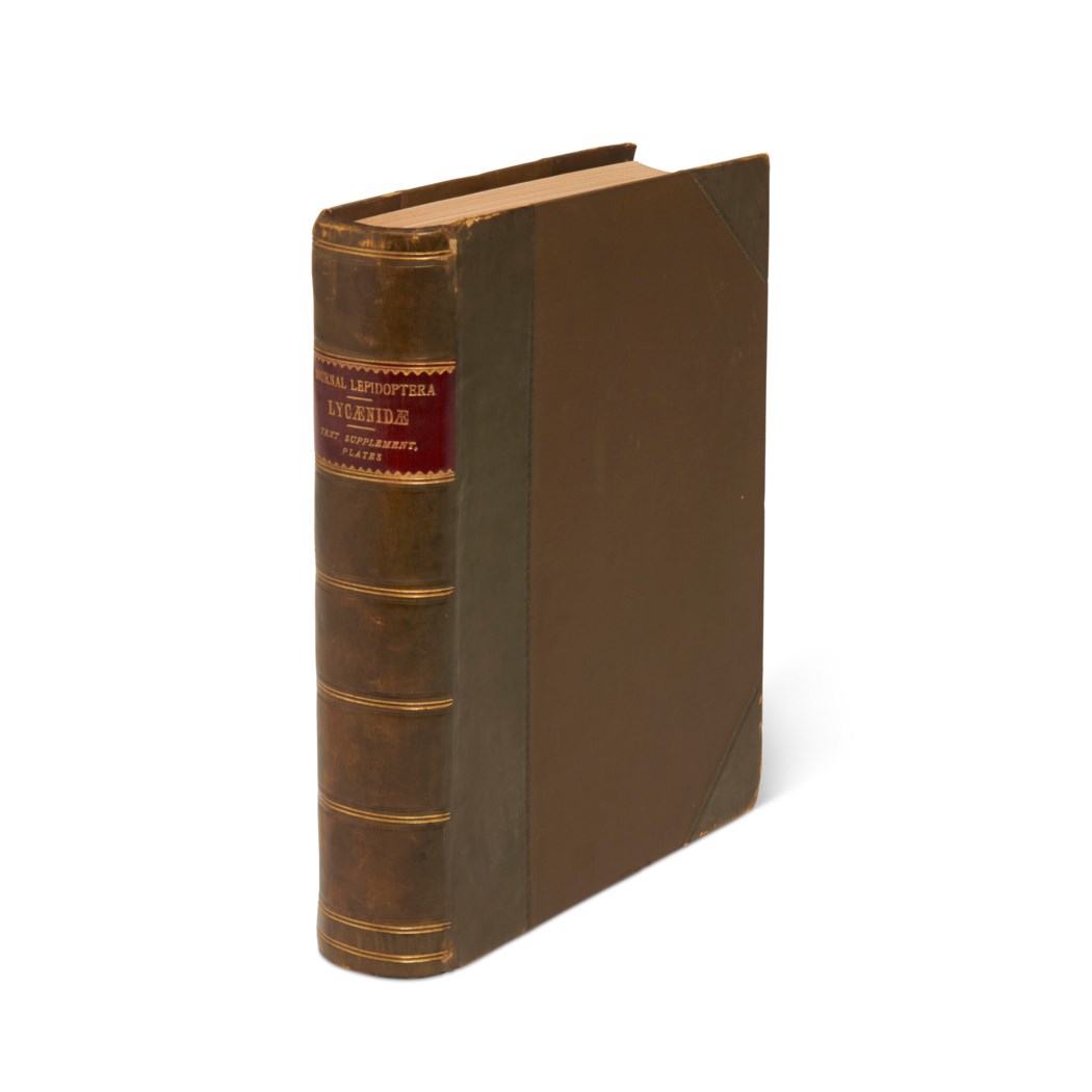 HEWITSON, William Chapman (1806-1878), Illustrations of diurnal ...
