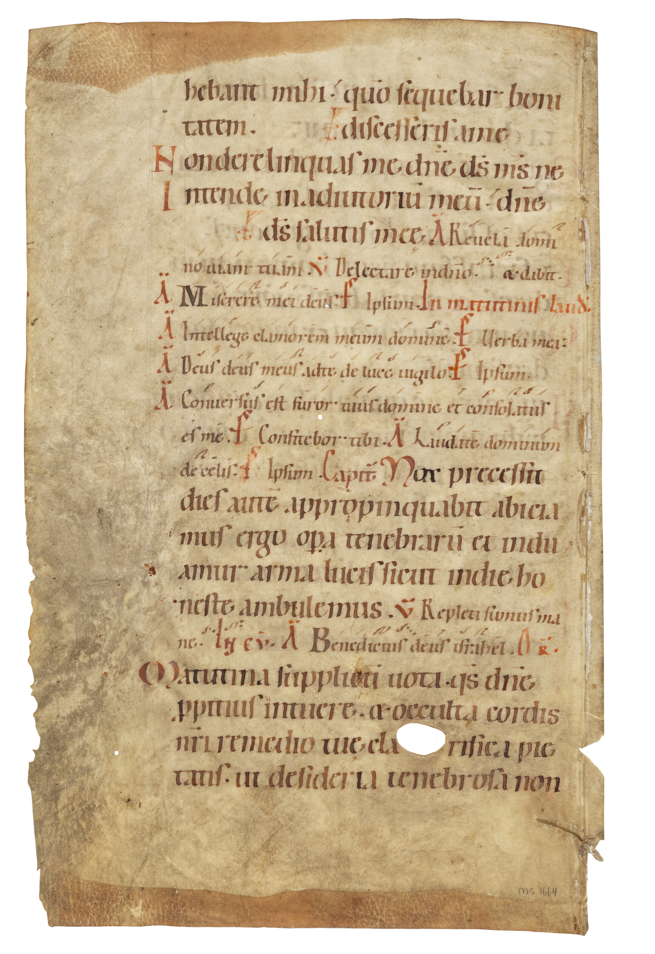 St Gall neumes (Early German neumes), A leaf from a Breviary, in Latin ...