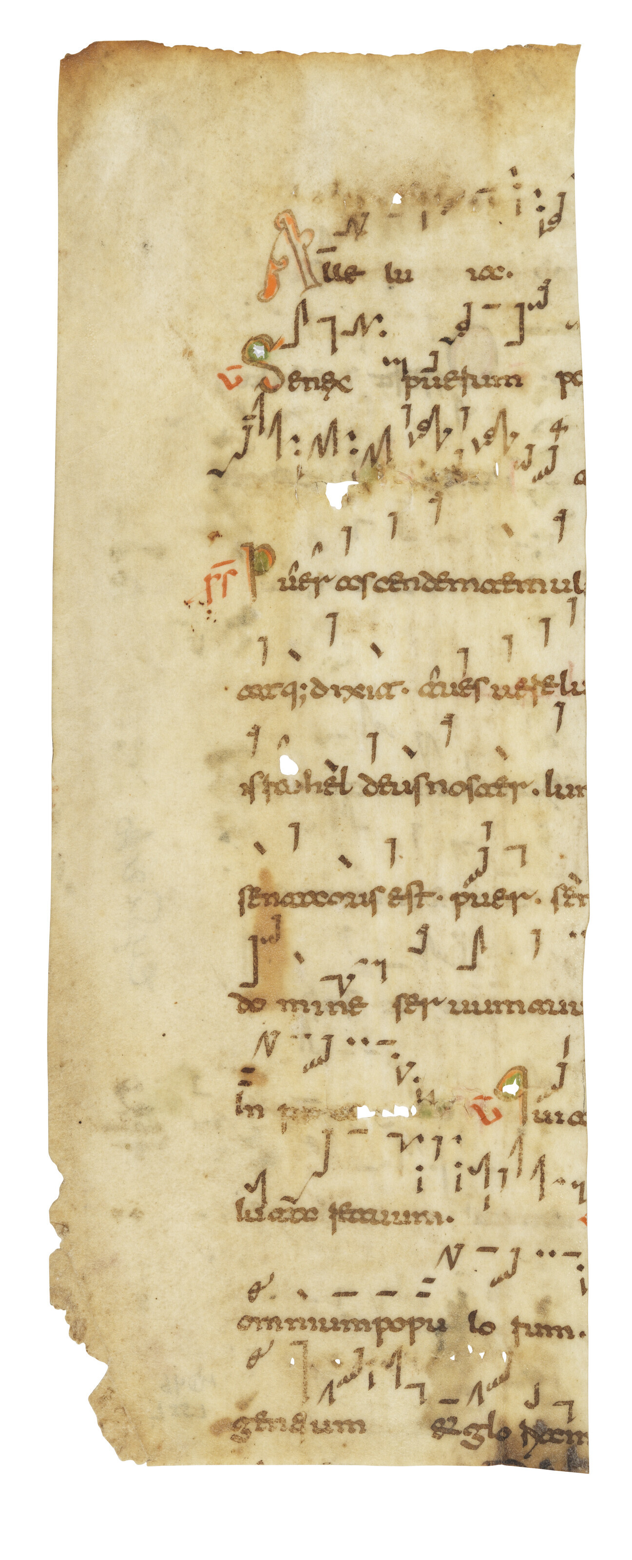 Beneventan neumes, Gradual, with tropes and prosulas, in Latin ...
