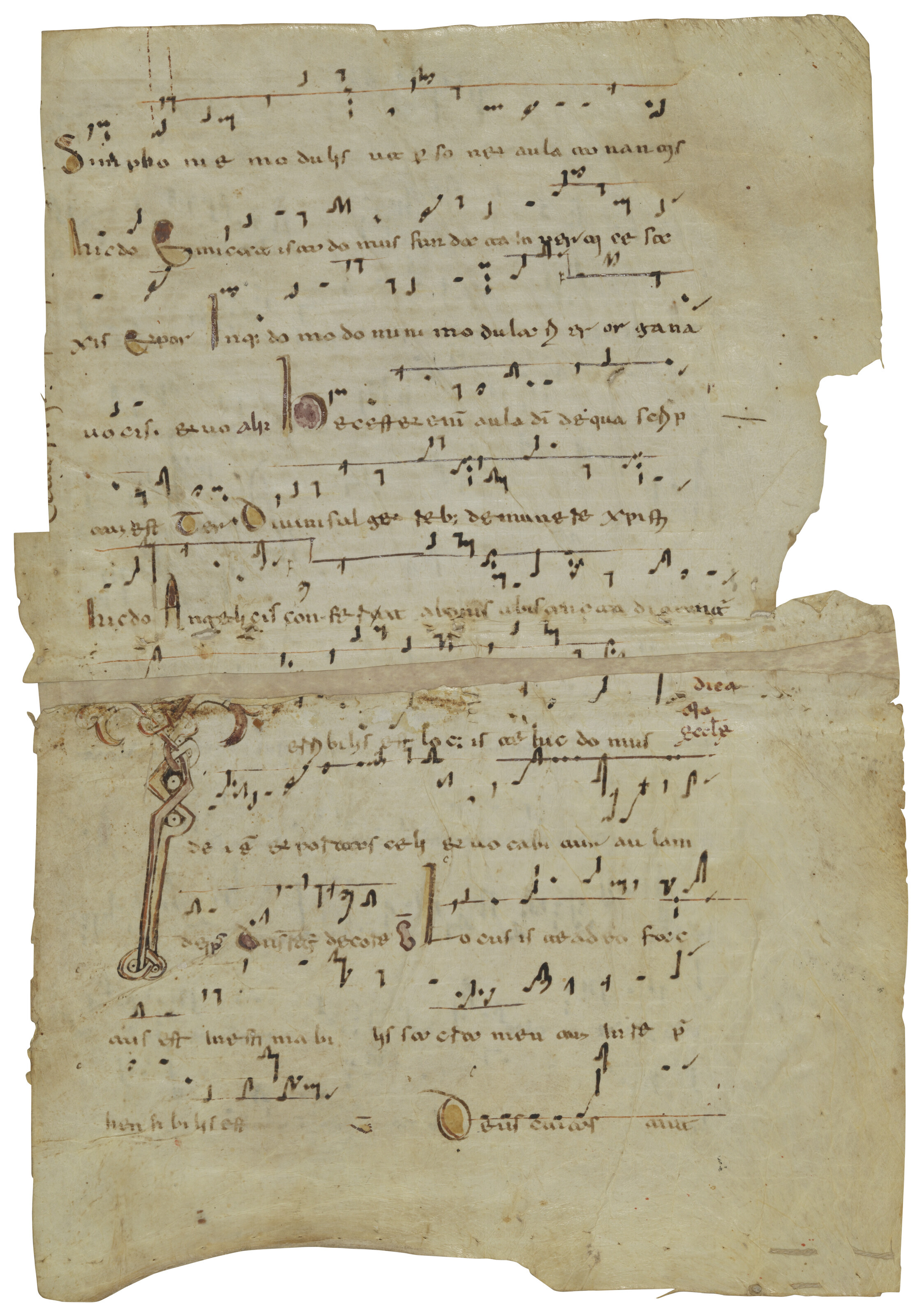 Beneventan neumes, Gradual, with Tropes, in Latin, manuscript on vellum ...