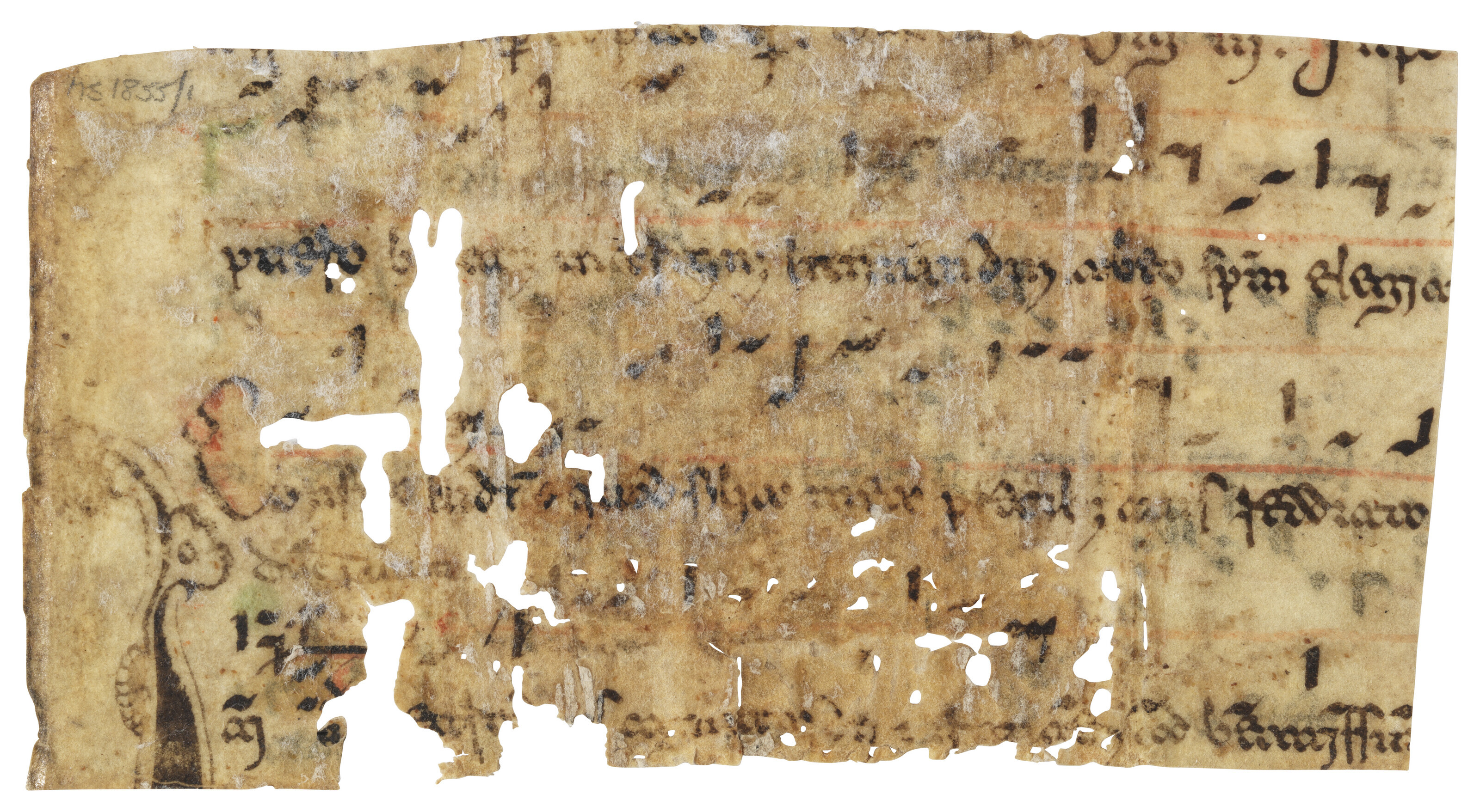 Beneventan neumes, Five fragments from Service Books, in Latin ...