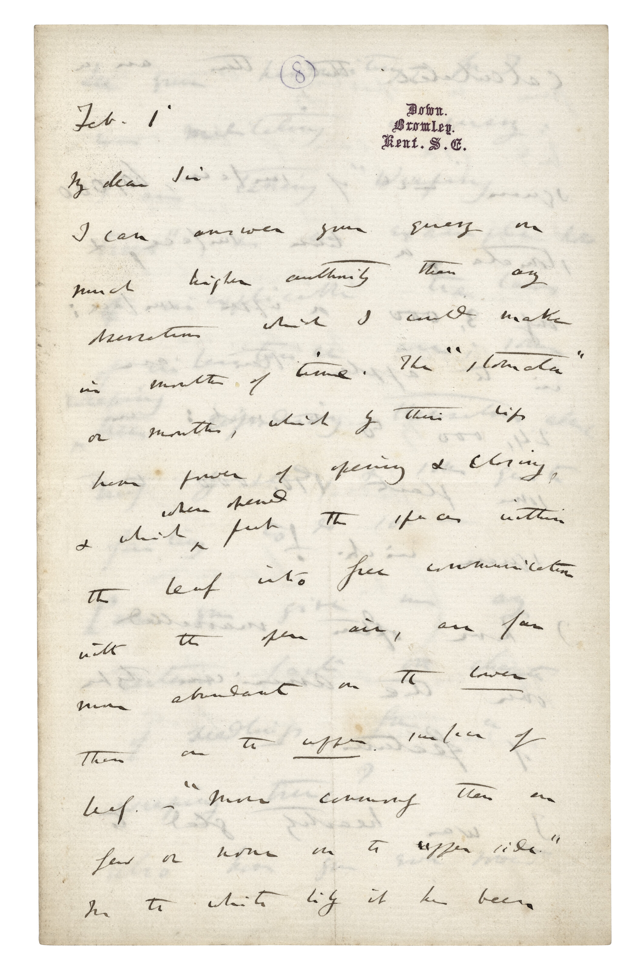 Charles Darwin (1809-1882), Autograph letter signed ('Ch. Darwin') to ...