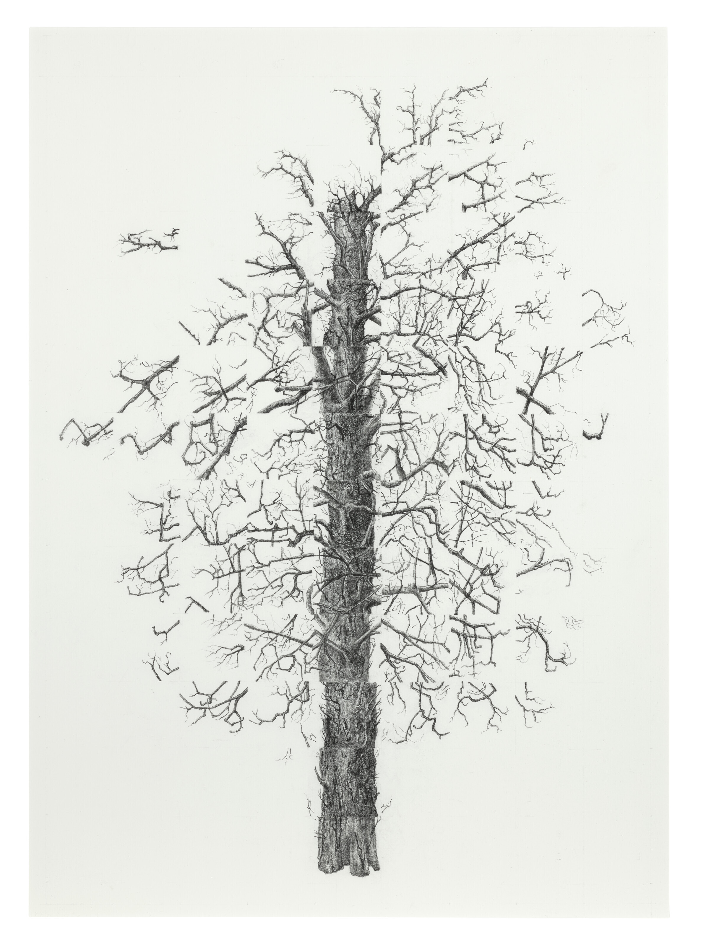 JACK KNIGHT, Blasted Tree, 2023 | Christie’s