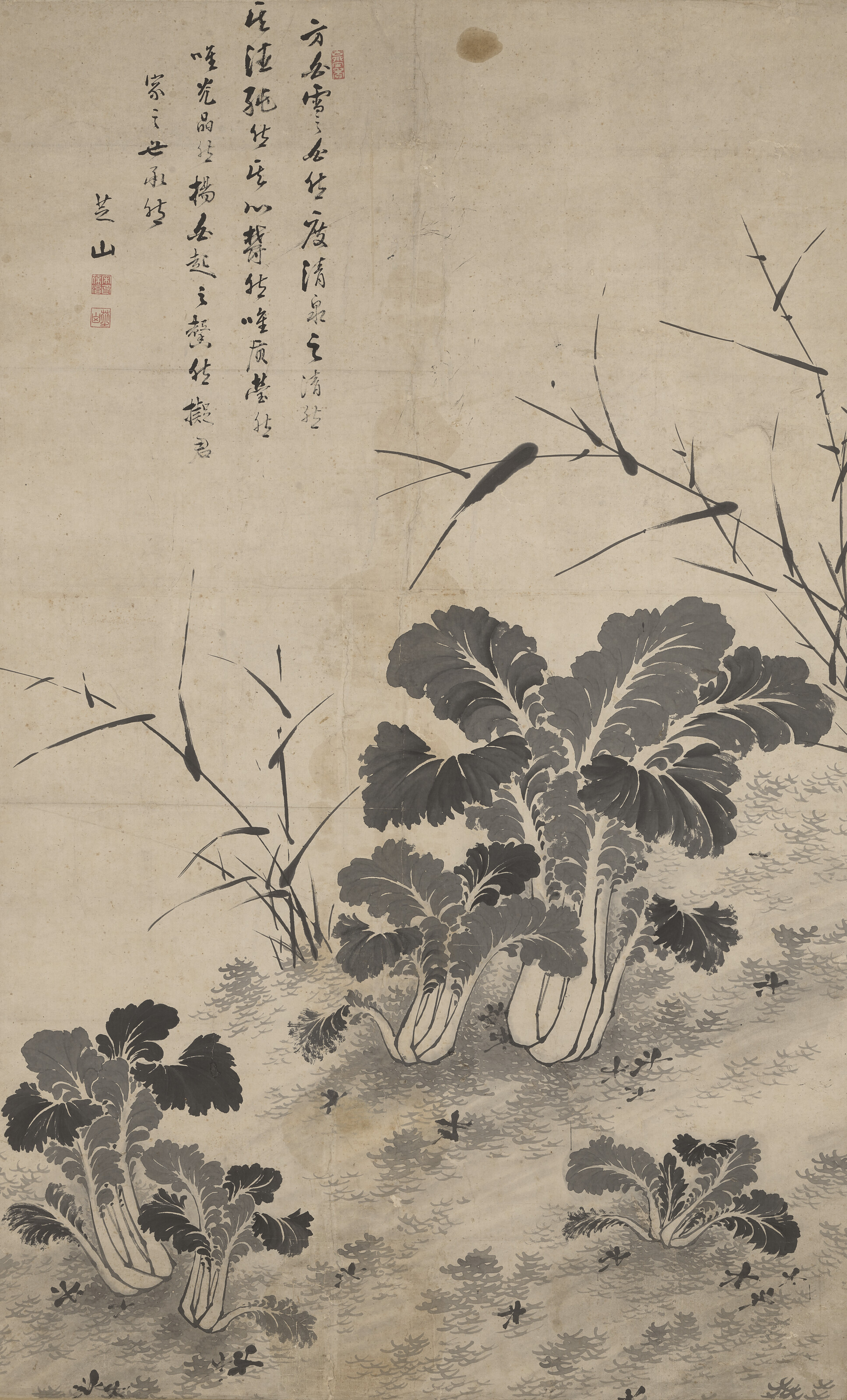 SONG BAOCHUN (1748-AFTER 1817), Cabbage | Christie’s