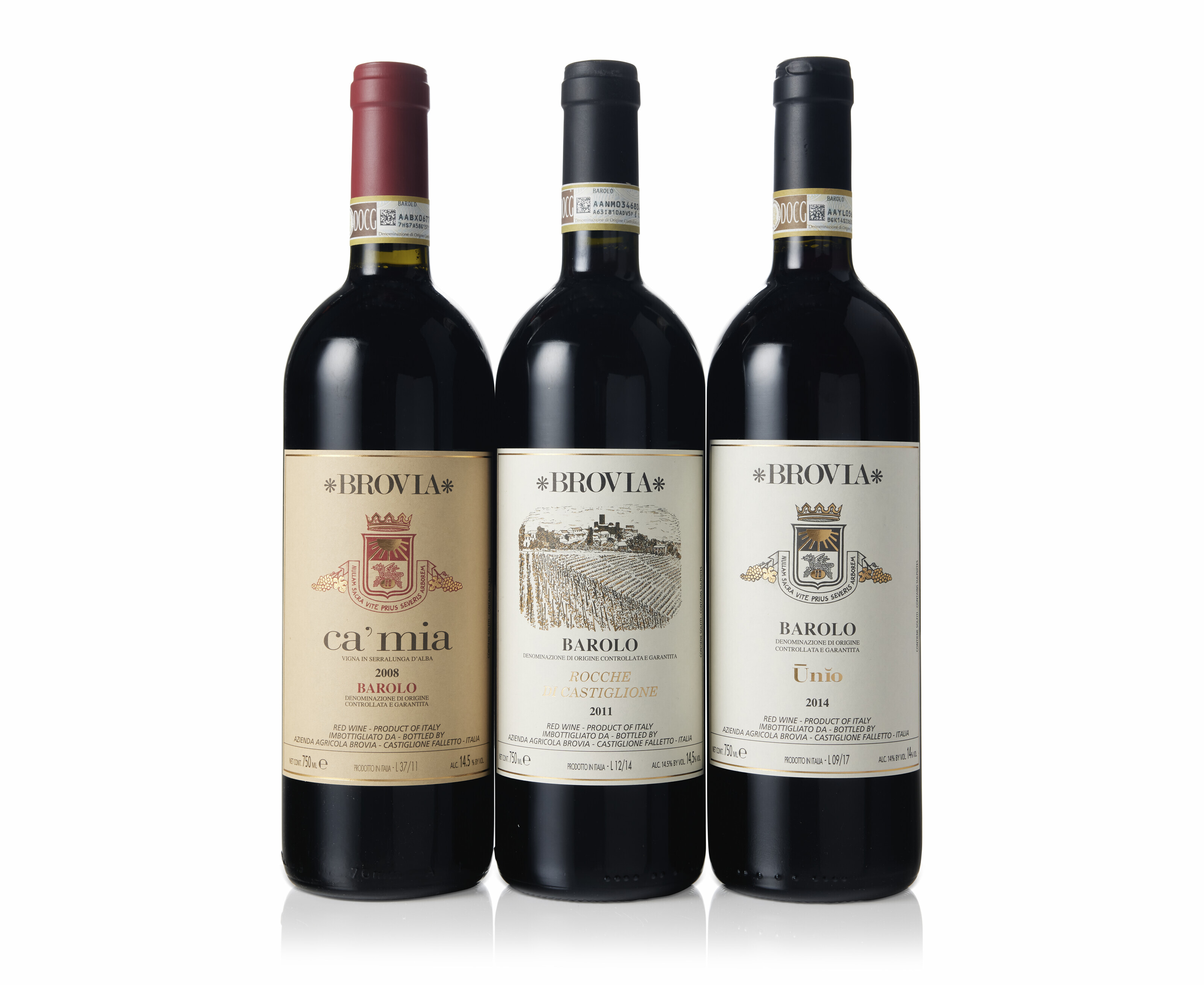 Mixed Brovia, Barolo, Brea Vigna Ca' Mia 2008 (12)Rocche di Castiglione ...