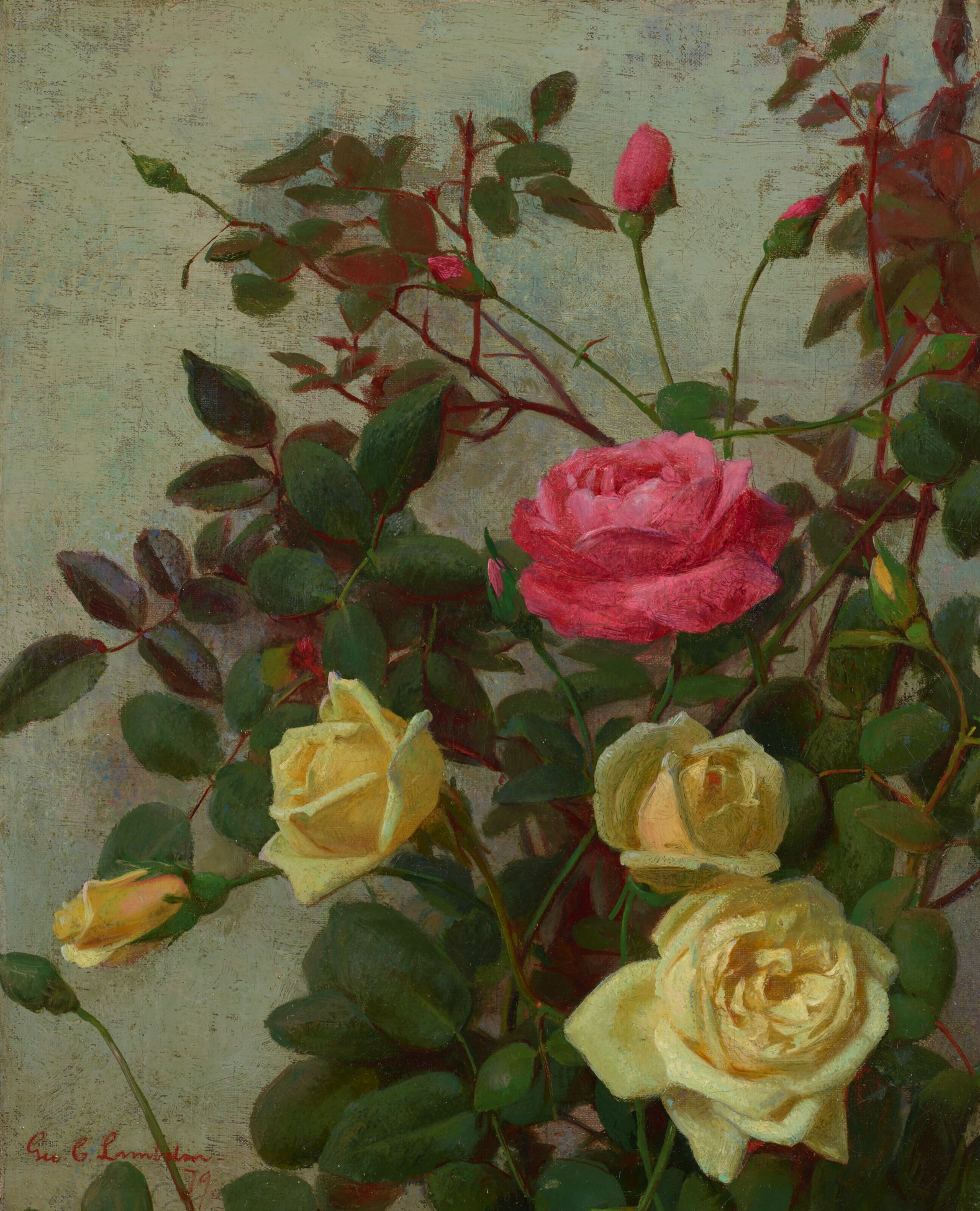 GEORGE COCHRAN LAMBDIN (1830-1896), Study of Roses | Christie's