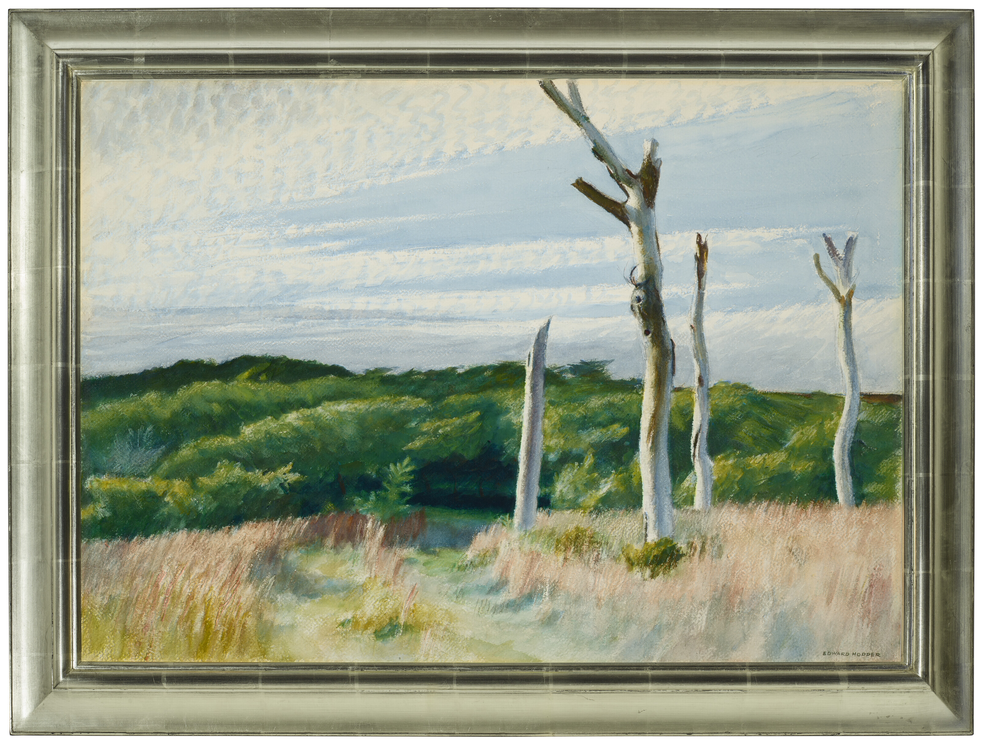 Painting Dead Trees In Yard