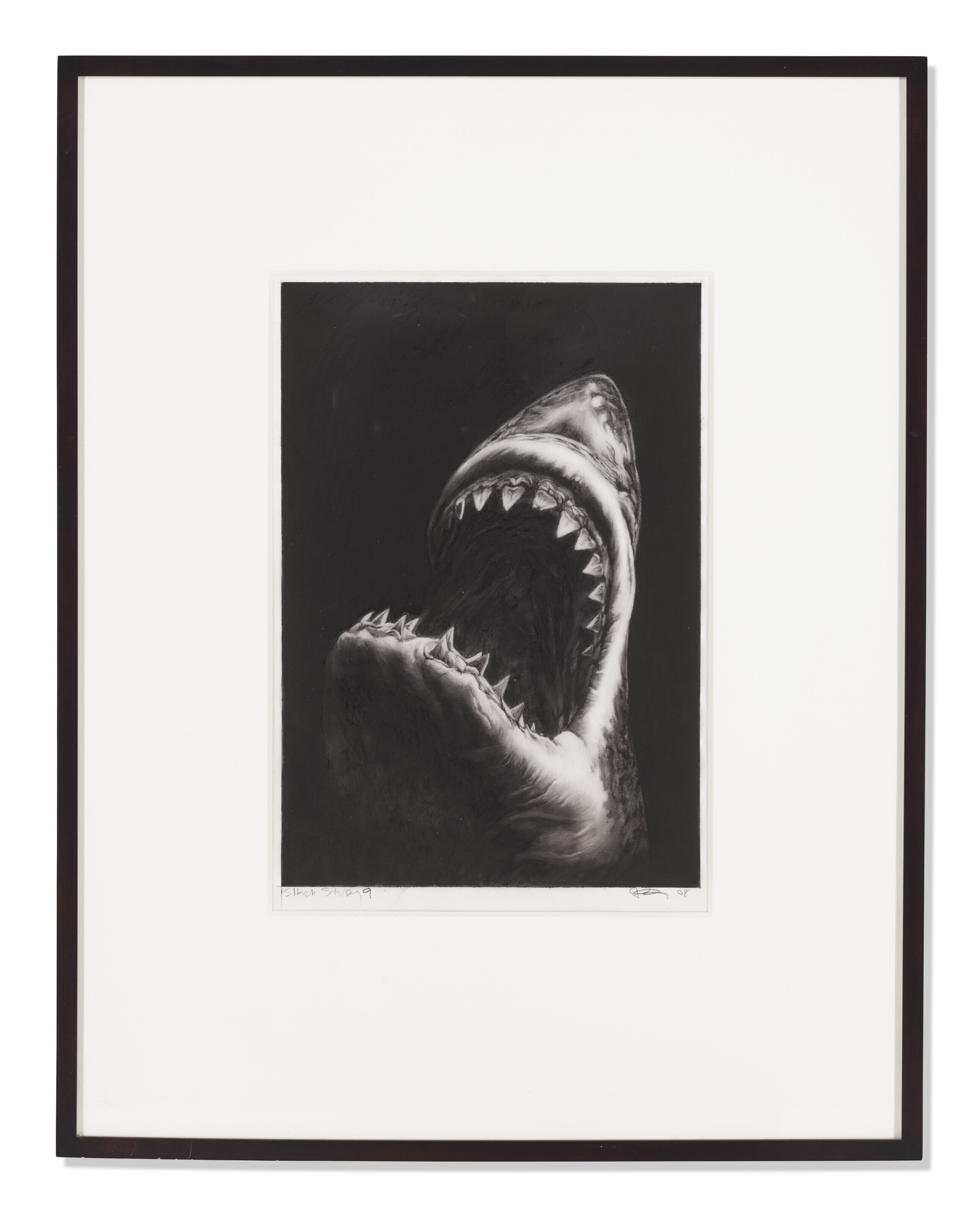 robert longo shark