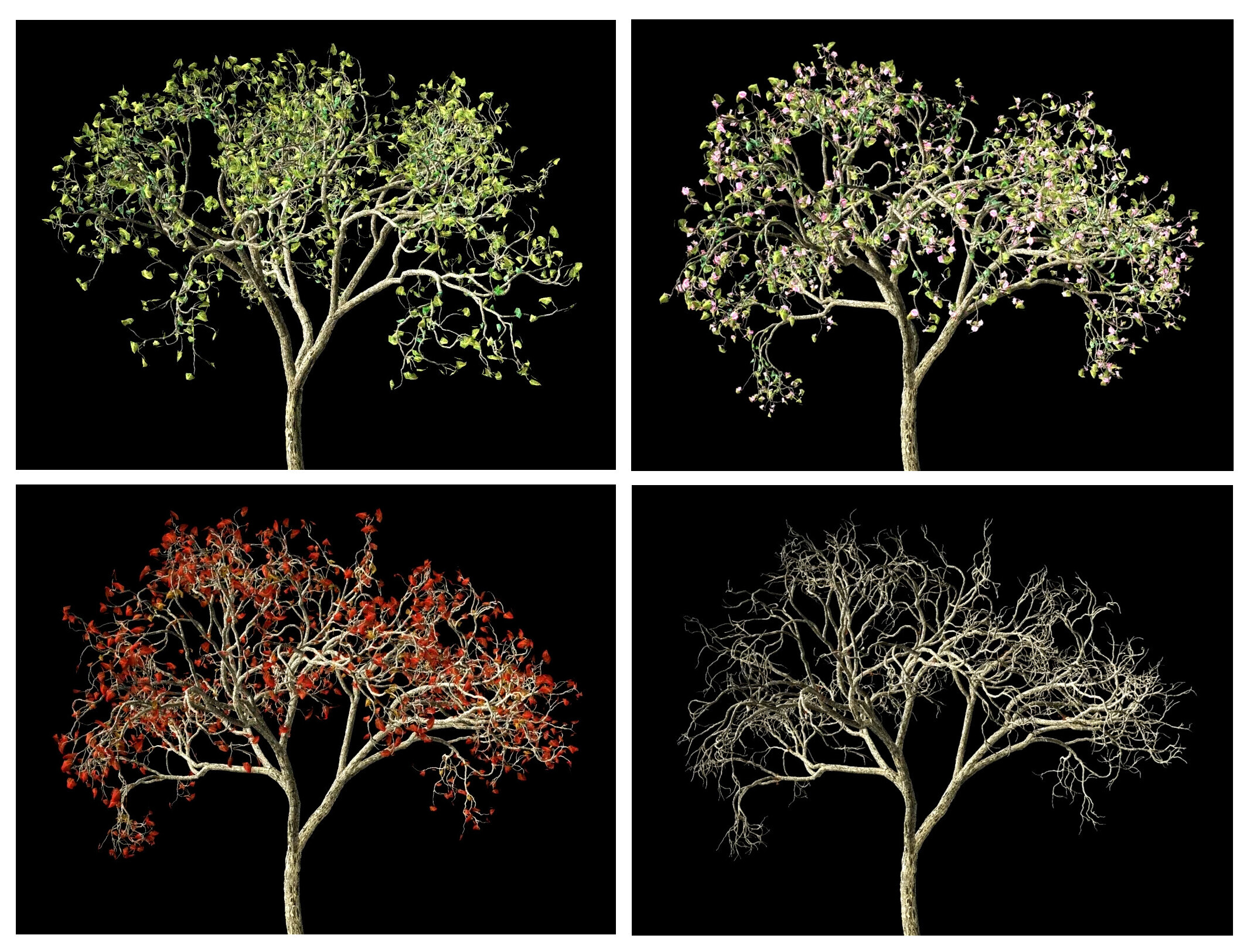 JENNIFER STEINKAMP (B. 1958), Dervish 7 | Christie’s