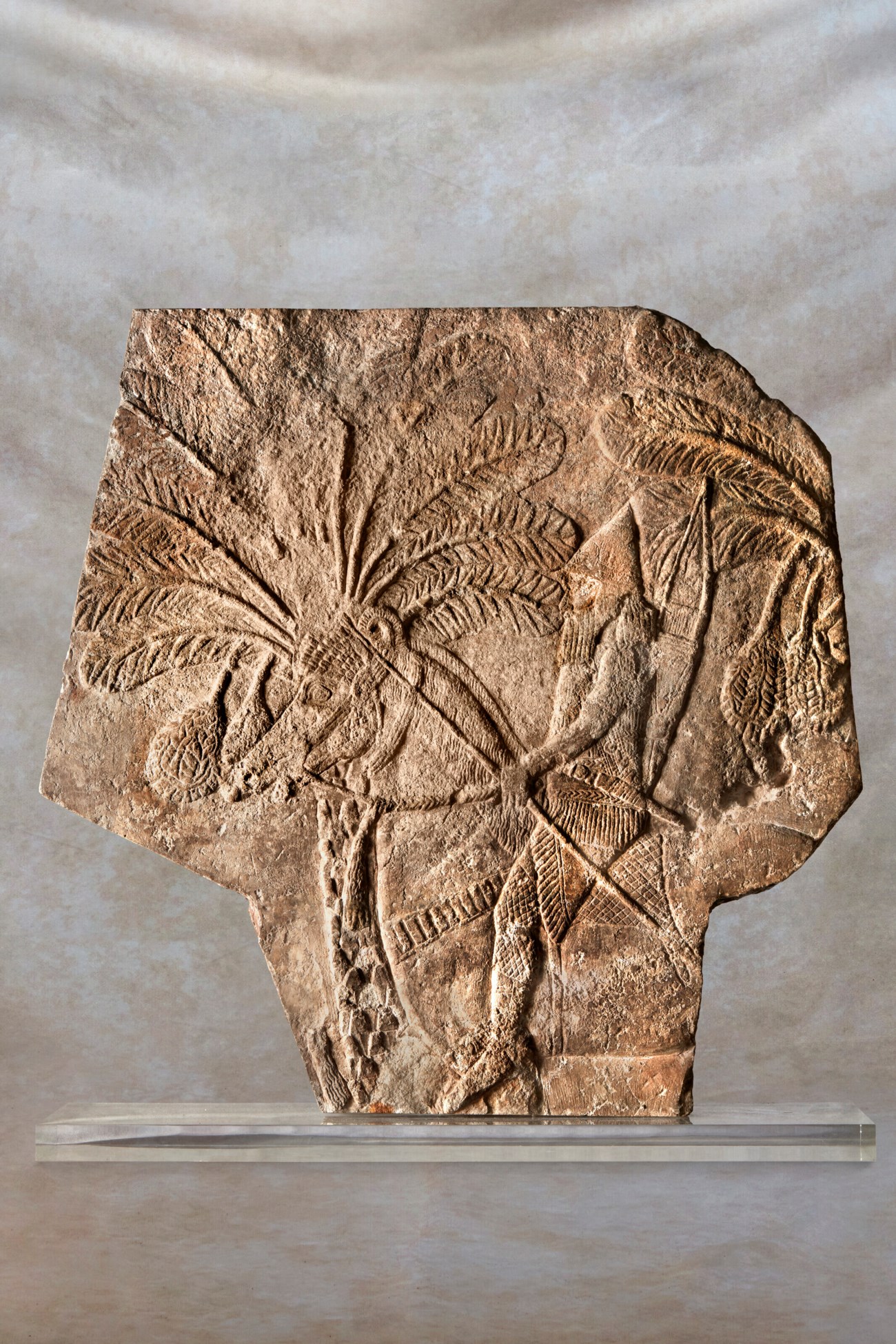 AN ASSYRIAN GYPSUM RELIEF FRAGMENT, REIGN OF SENNACHERIB, CIRCA 705-681 ...
