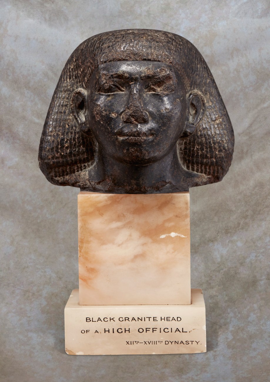 AN EGYPTIAN BLACK GRANITE PORTRAIT HEAD OF AN OFFICIAL, NEW KINGDOM ...