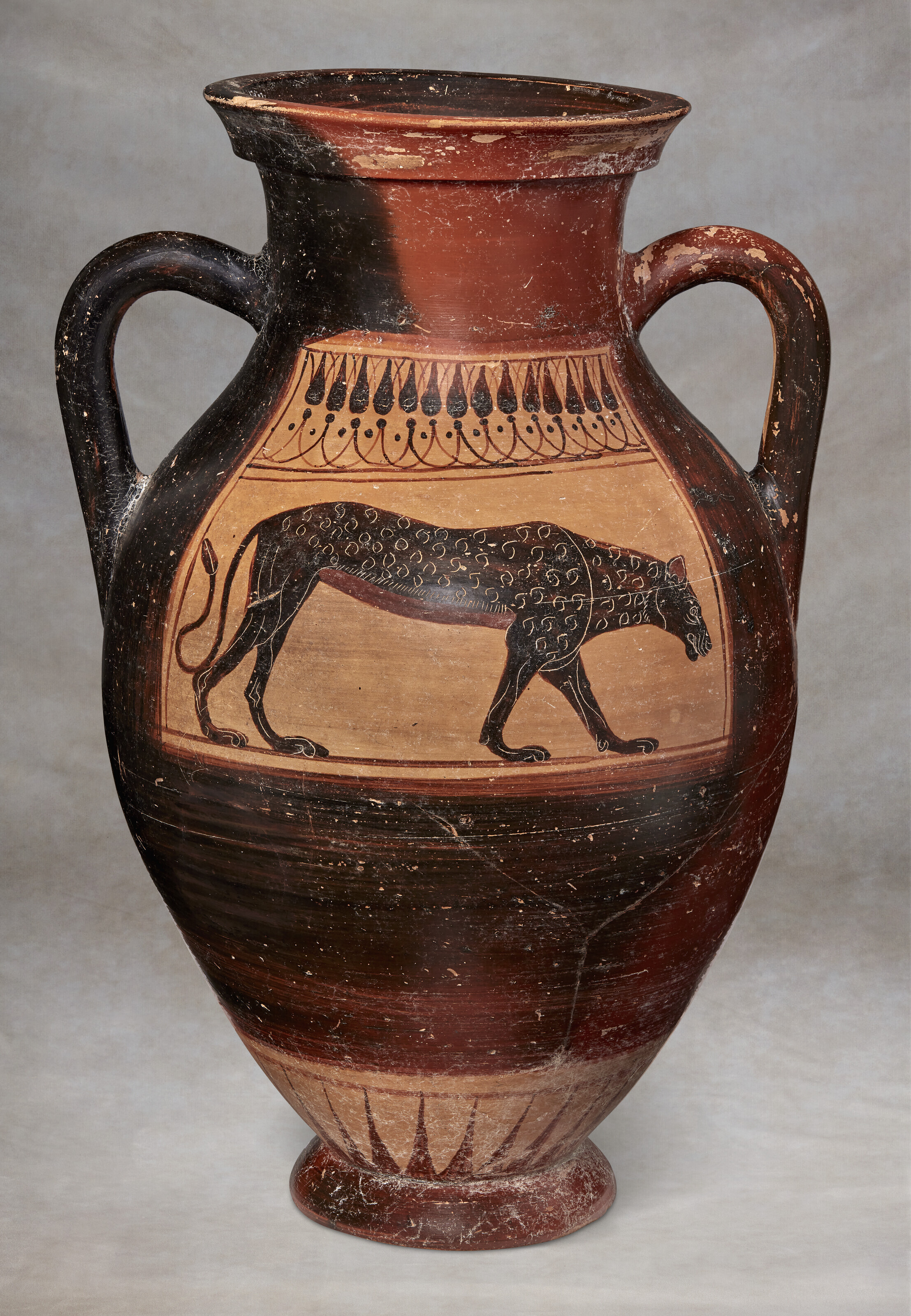 AN ATTIC BLACK-FIGURED NECK-AMPHORA (DOUBLEEN), ATTRIBUTED TO THE ...