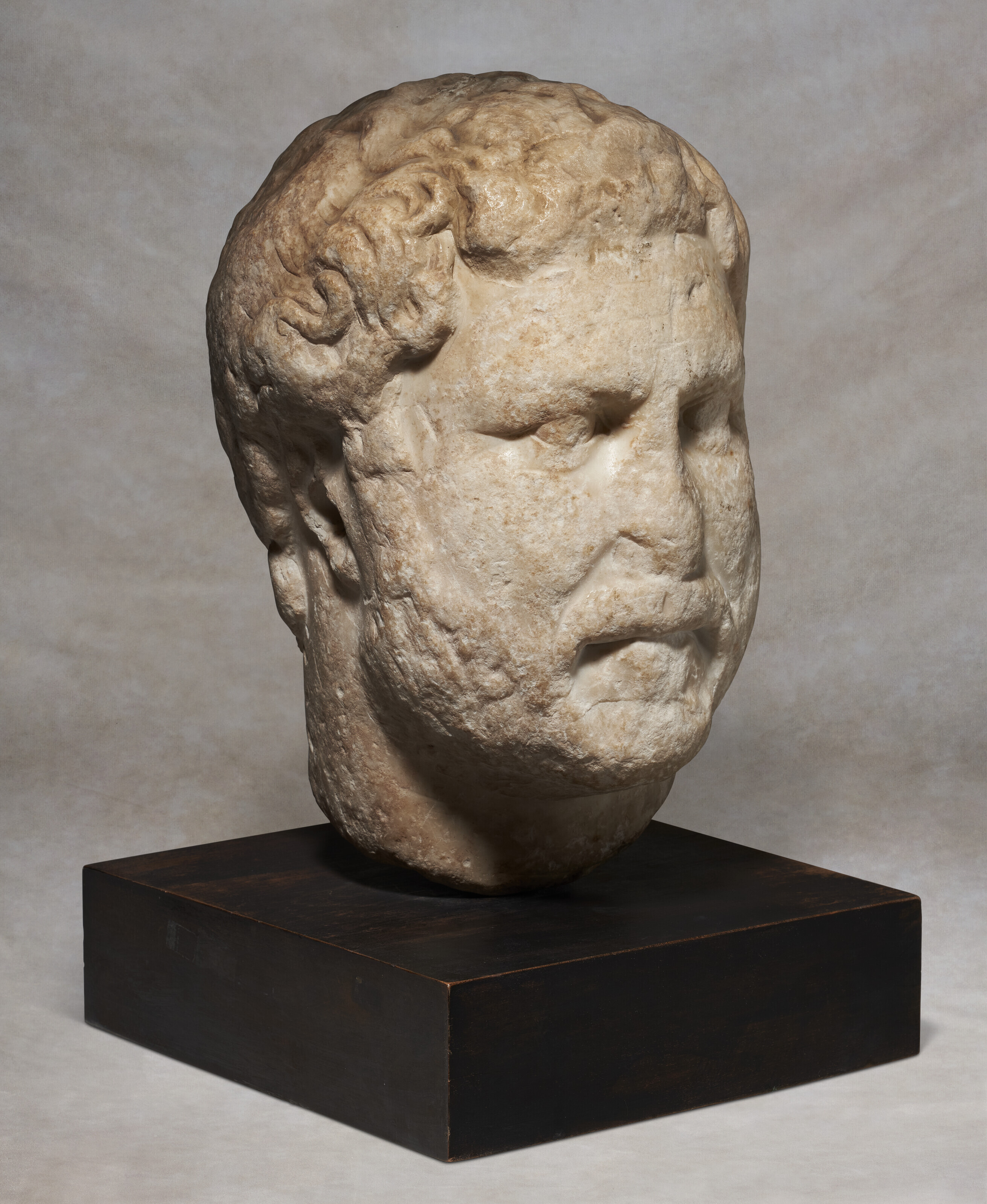 Portrait Of Hadrian