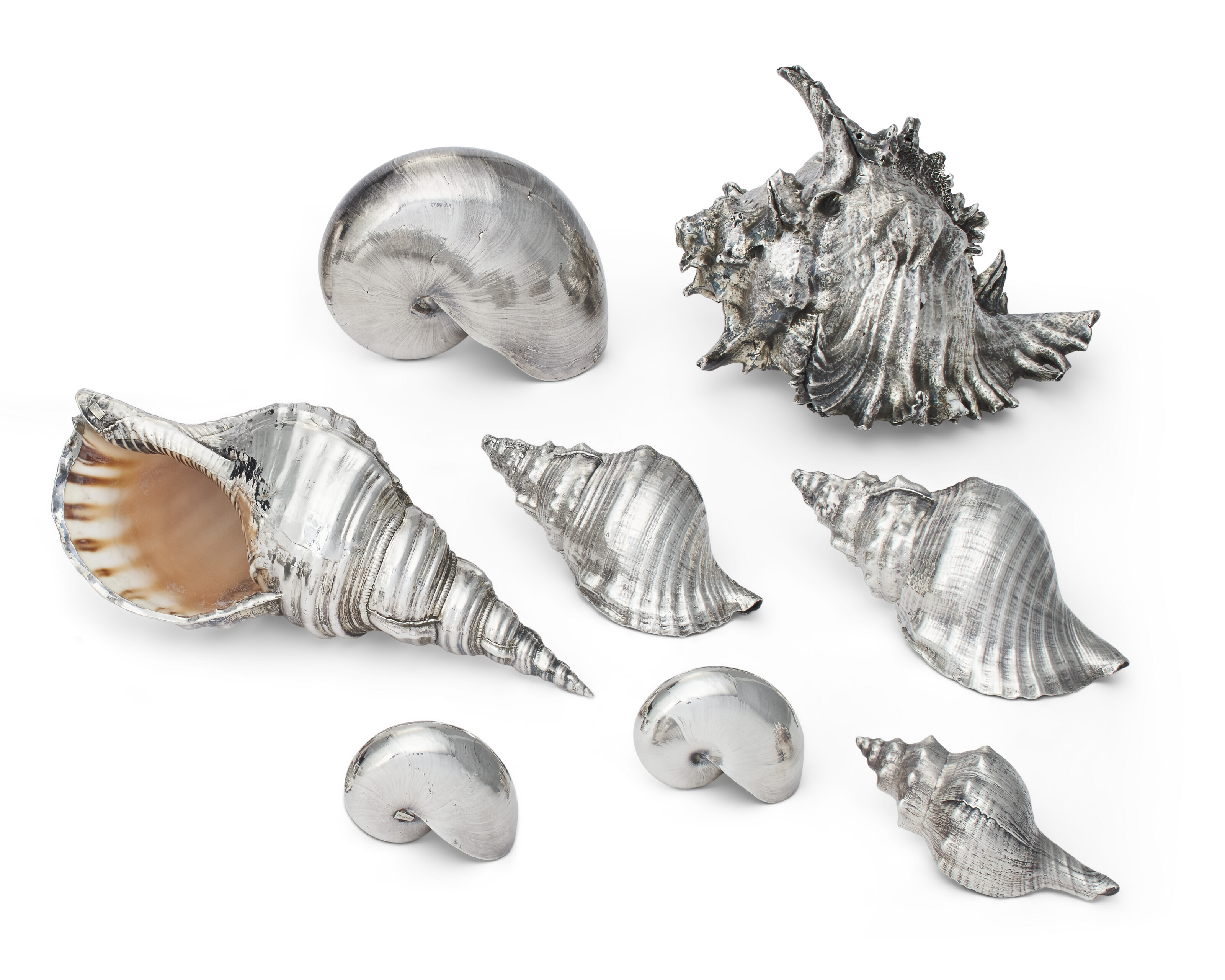 A SUITE OF EIGHT ITALIAN SILVER-MOUNTED SHELLS, MARK OF BUCCELLATI ...