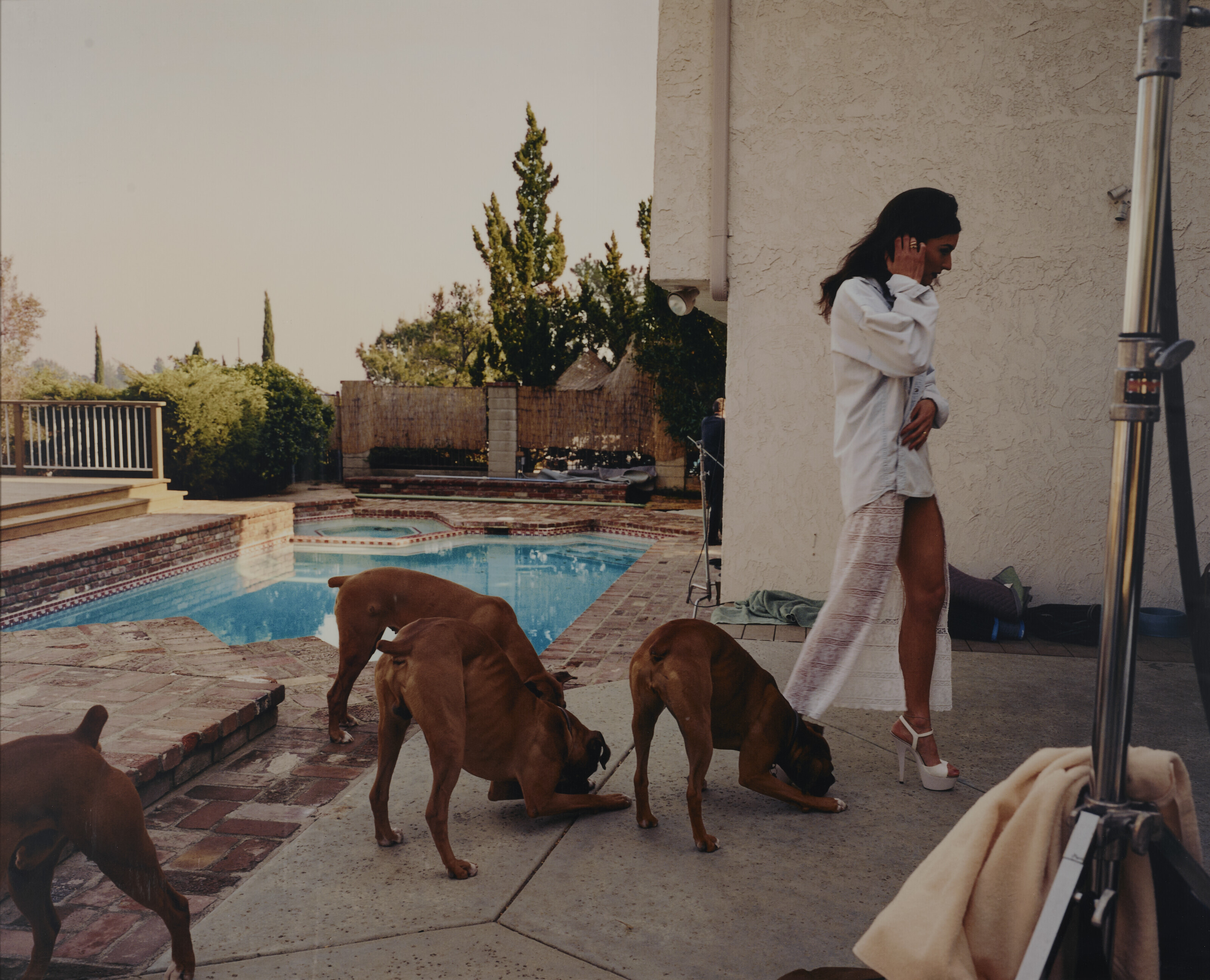 LARRY SULTAN (1946–2009), Boxers, Mission Hills (from the series The ...