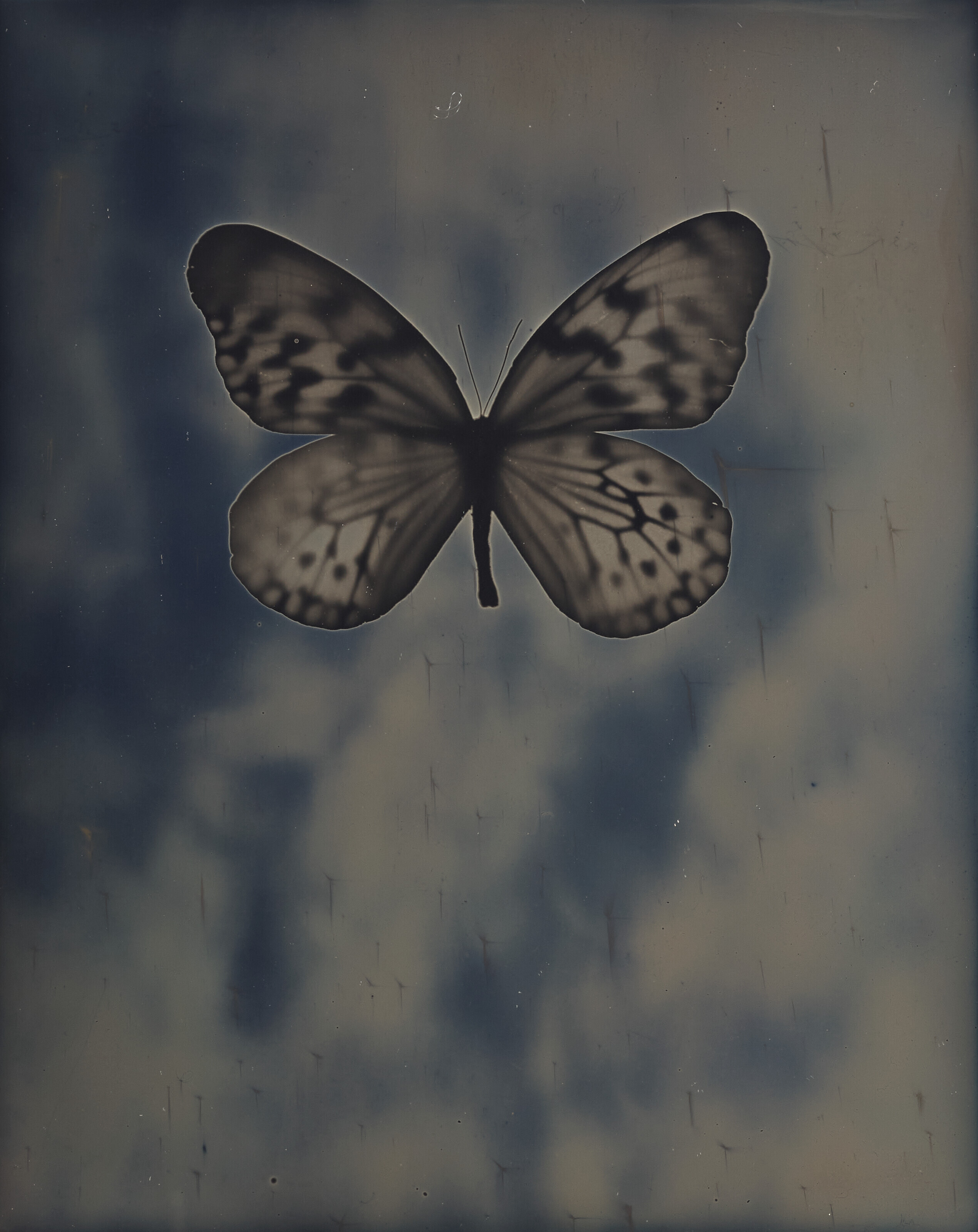 ADAM FUSS (B. 1961), Untitled, 2009 | Christie’s