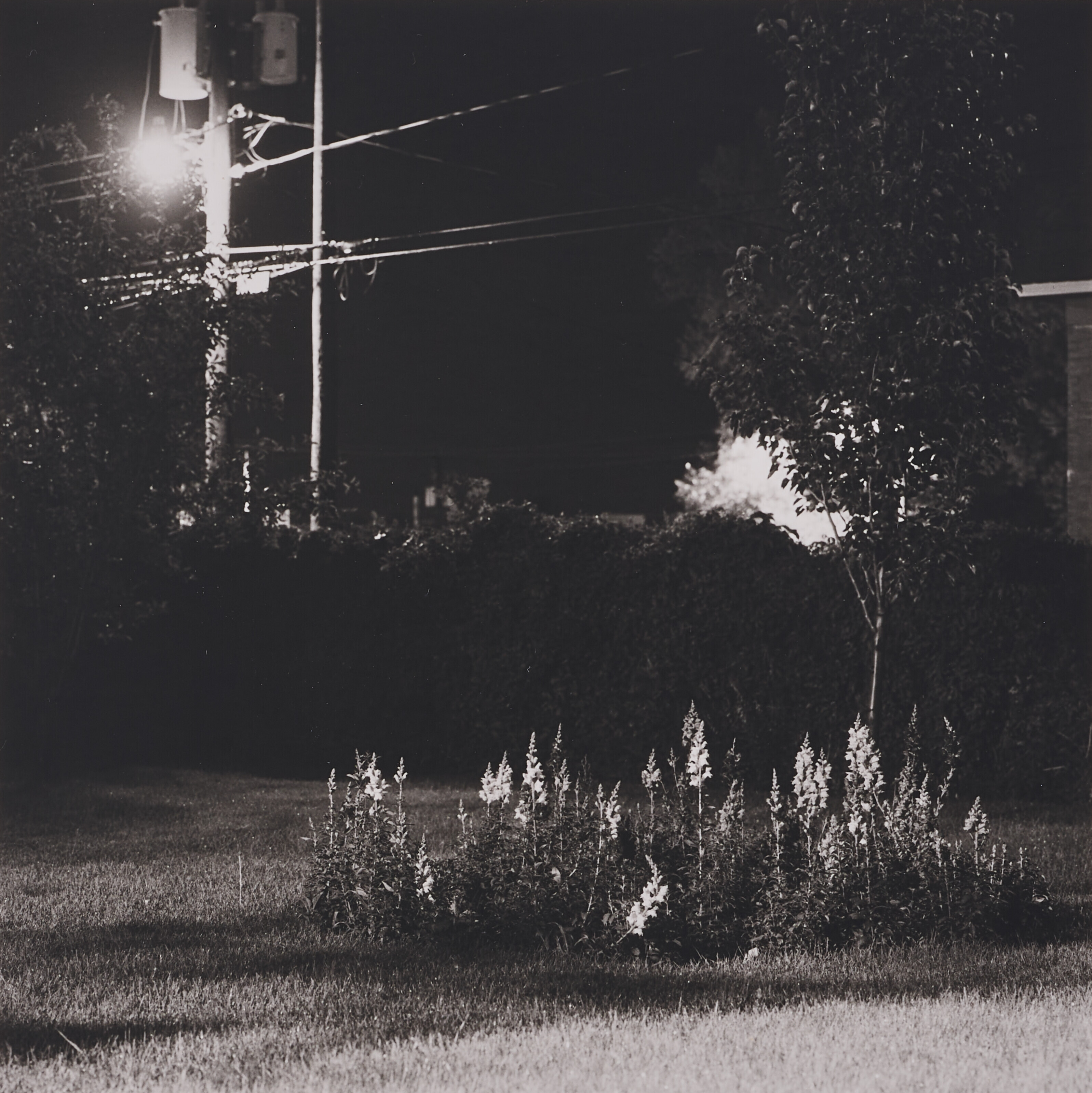 ROBERT ADAMS (B. 1937), Longmont, Colorado, 1978 | Christie’s