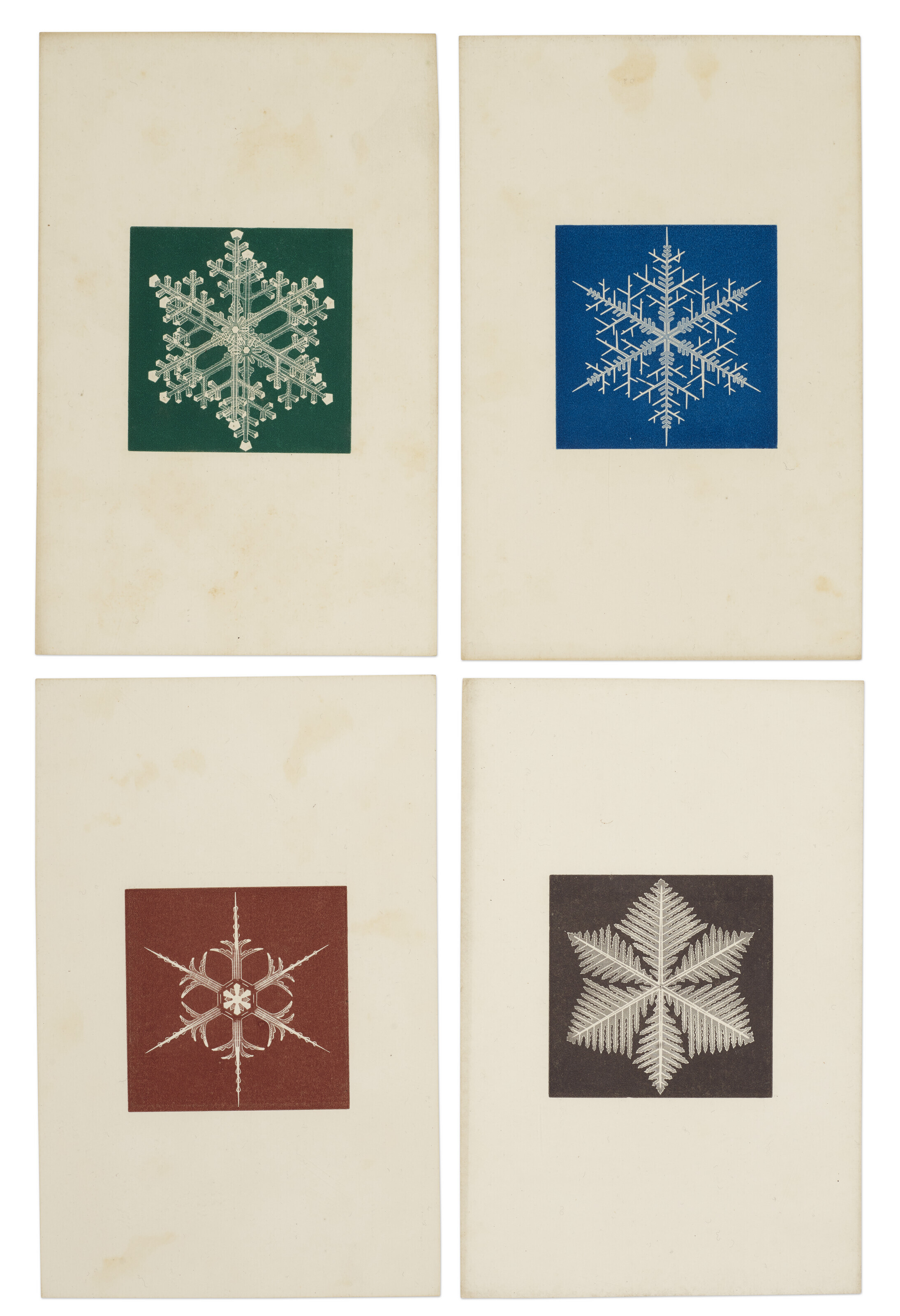 Snow crystals, observed by James Glaisher, Esq., F.R.S., from February ...