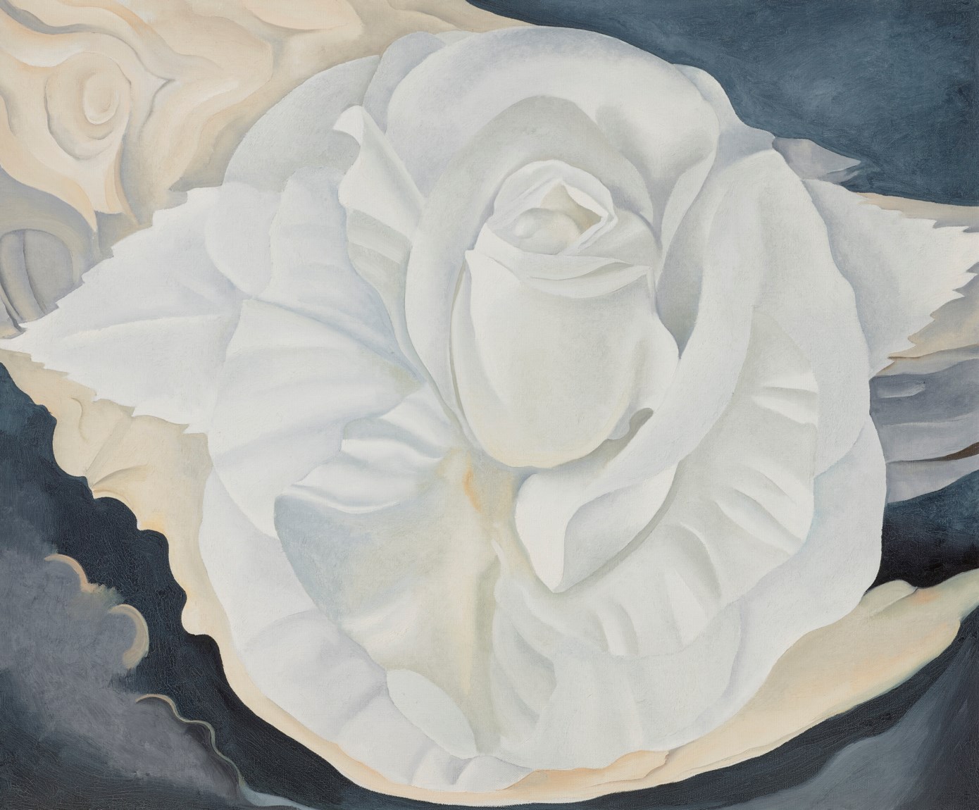 GEORGIA O'KEEFFE (1887-1986), White Calico Rose | Christie's