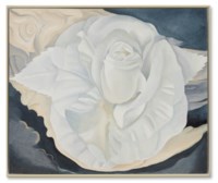 GEORGIA O'KEEFFE (1887-1986), White Calico Rose | Christie's