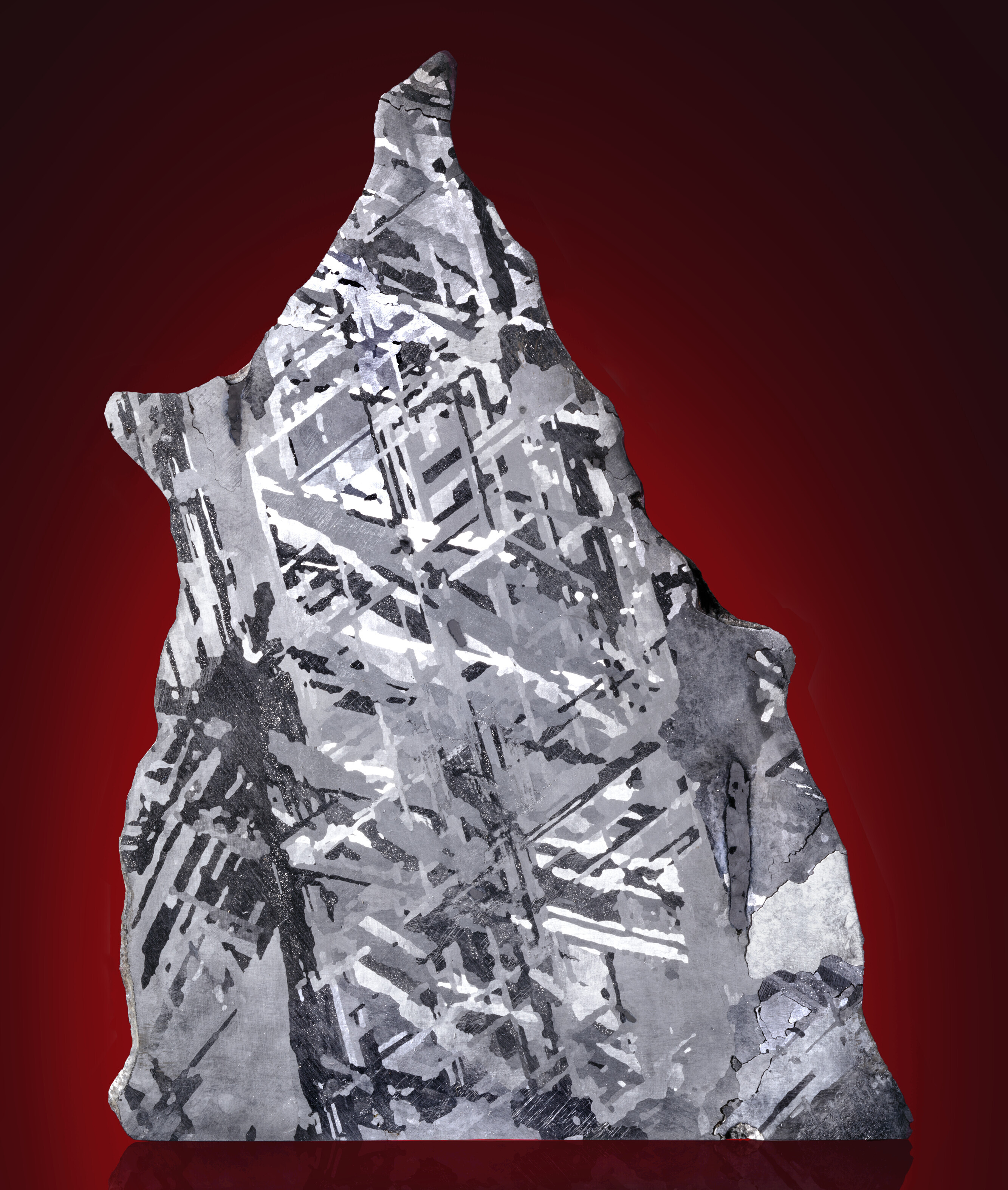 allende meteorite slice