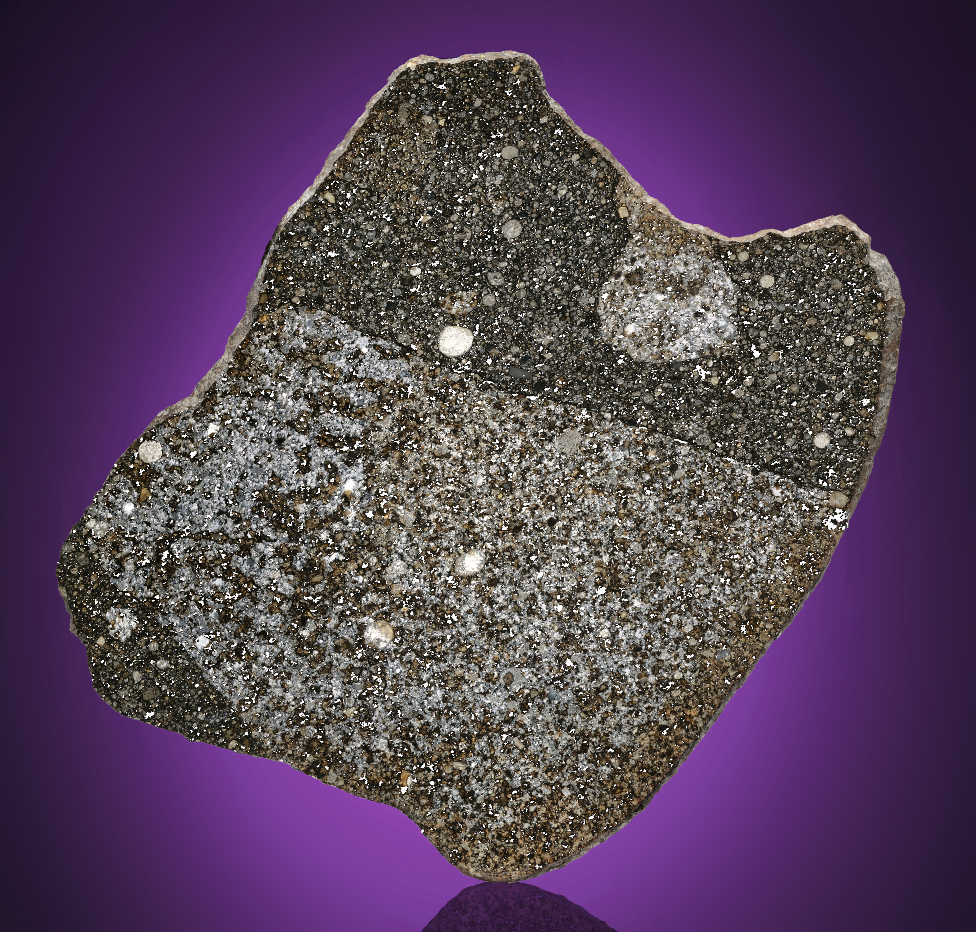 allende meteorite slice