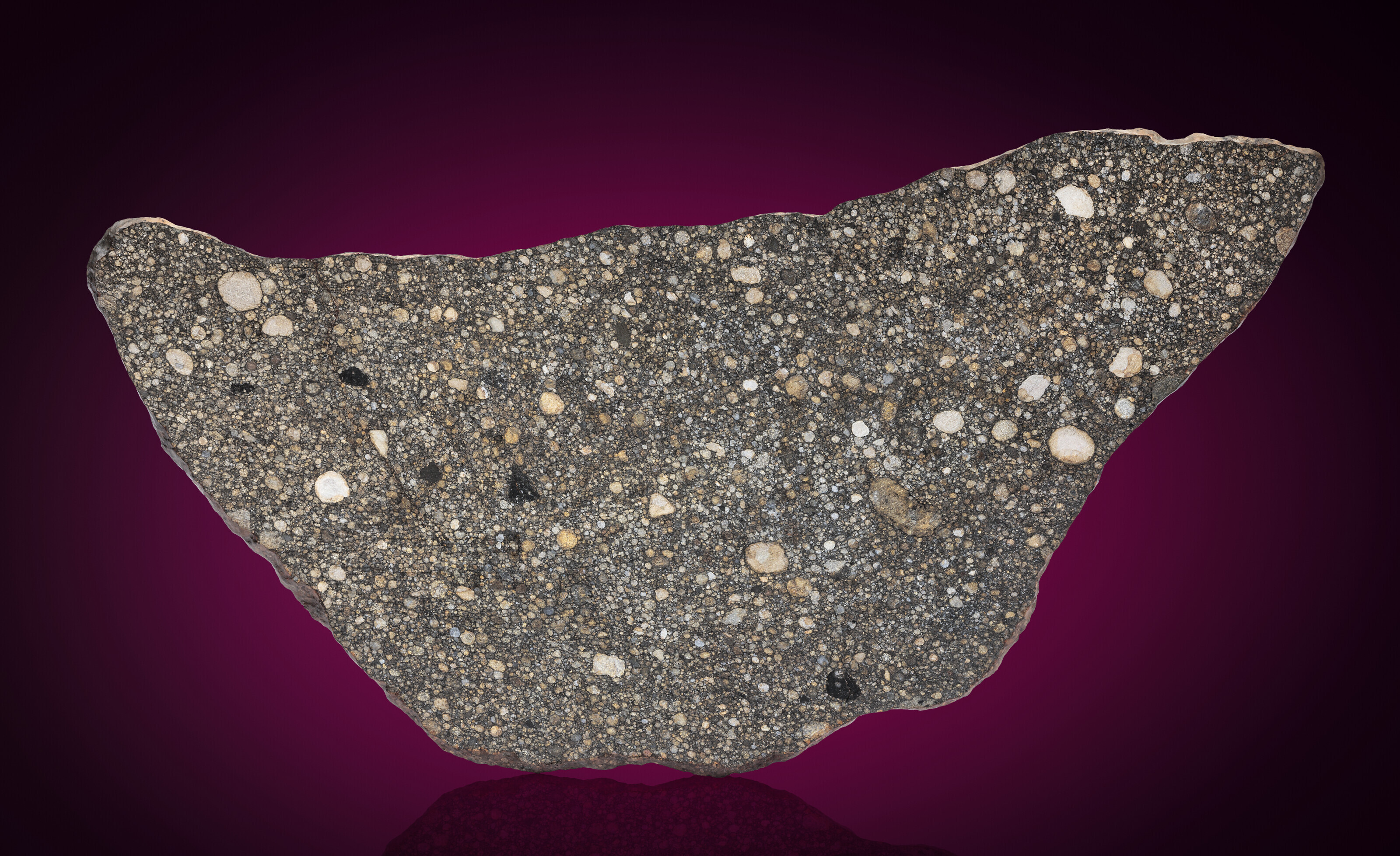 allende meteorite slice