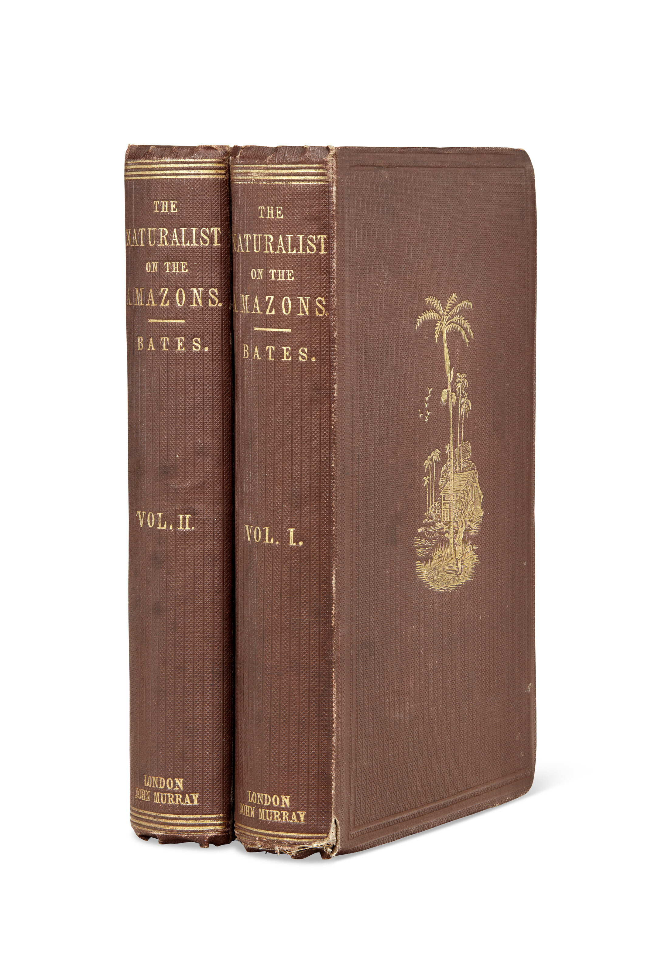 Naturalist on the River Amazons, Henry Walter Bates, 1863 | Christie’s
