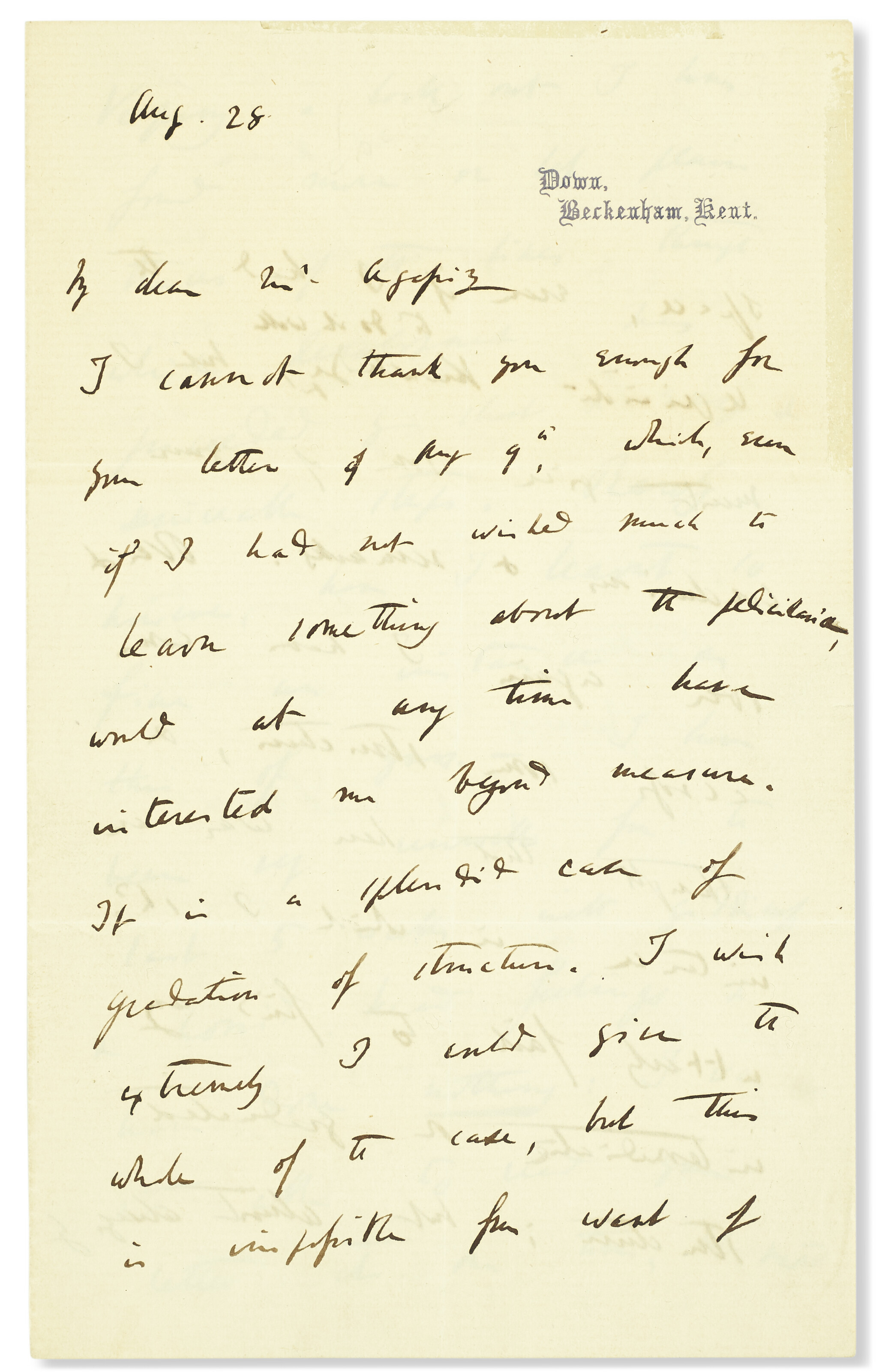 On the "gradation of structure", Charles Darwin, 28 August [1871 ...