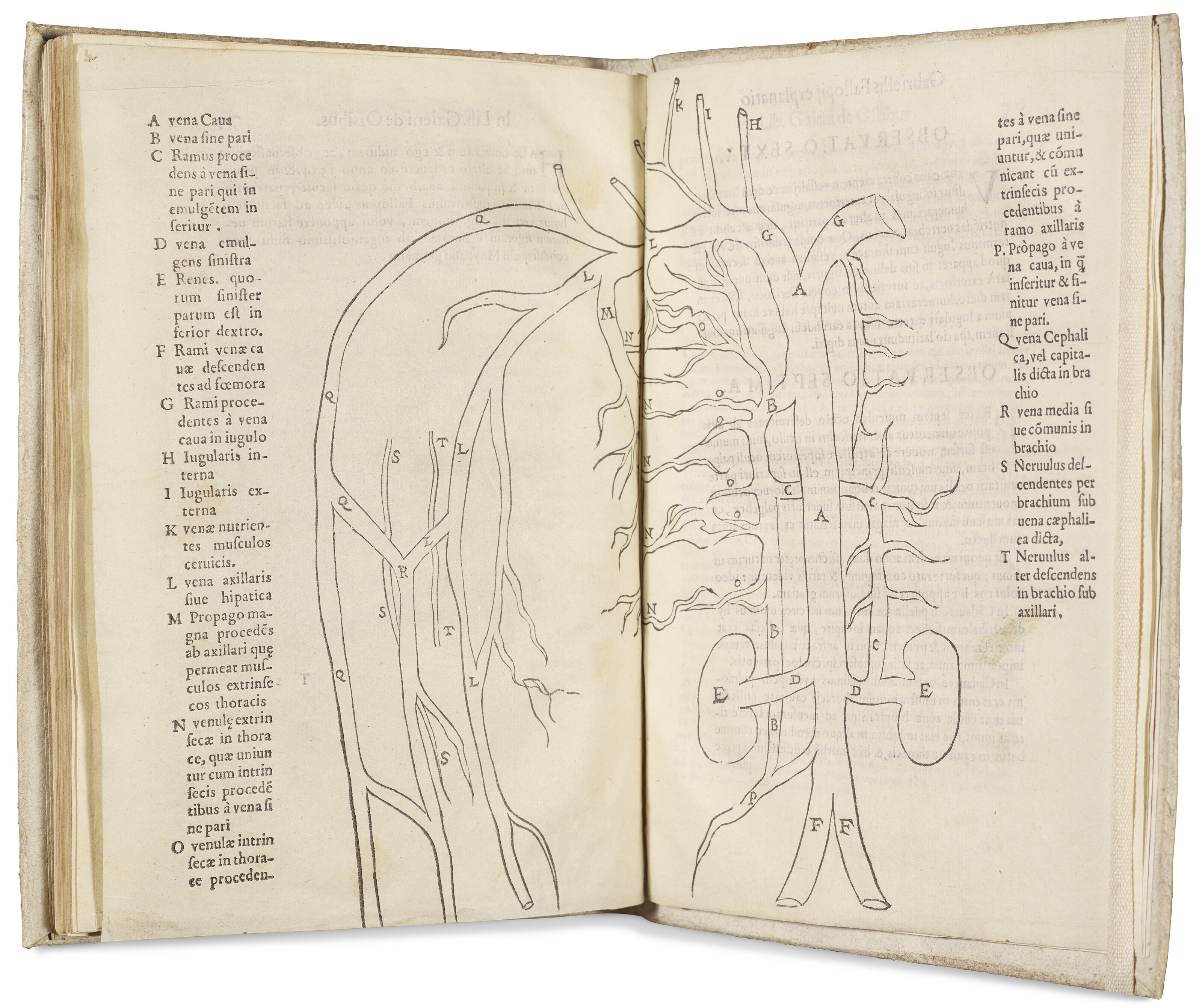 Expositio in librum Galeni De Ossibus huic accesserunt observationes ...