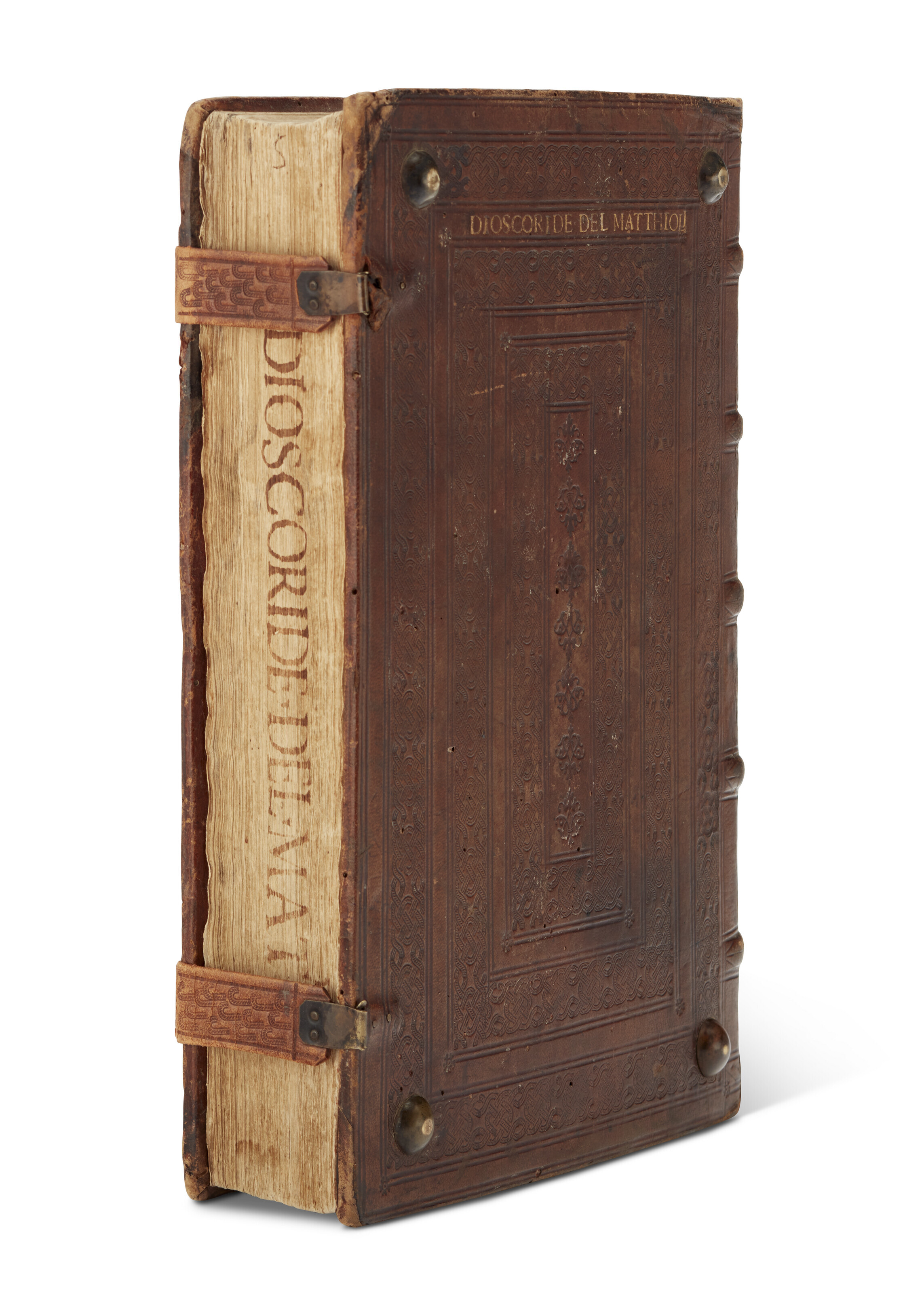 I Discorsi … ne i sei libri di Pedacio Dioscoride Anazarbeo della ...