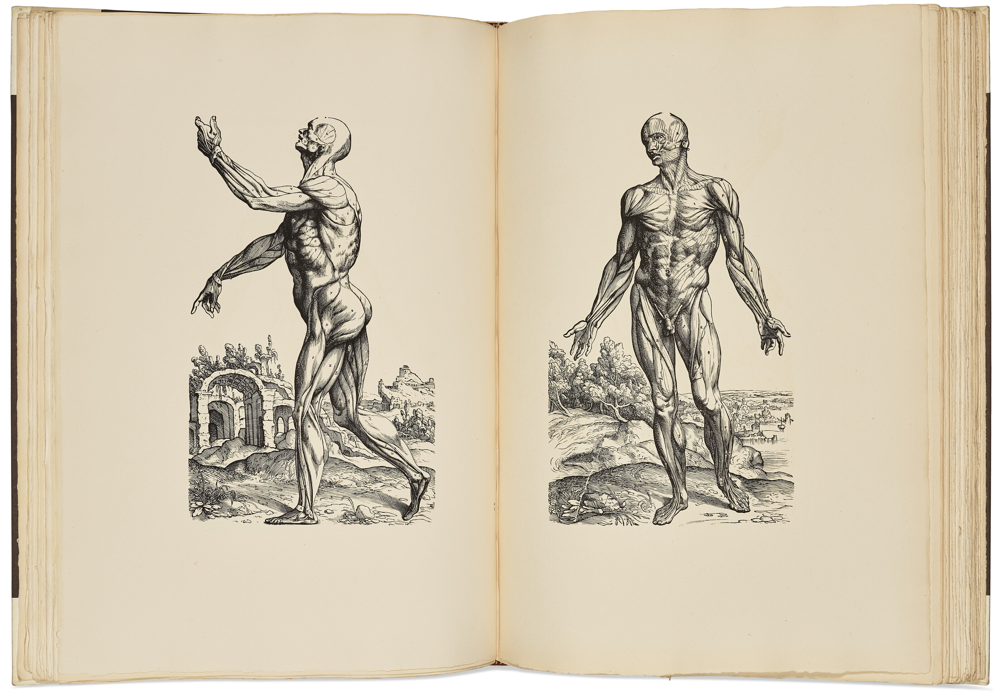 Vesalius's Icones anatomicae, Printed from the original woodblocks ...